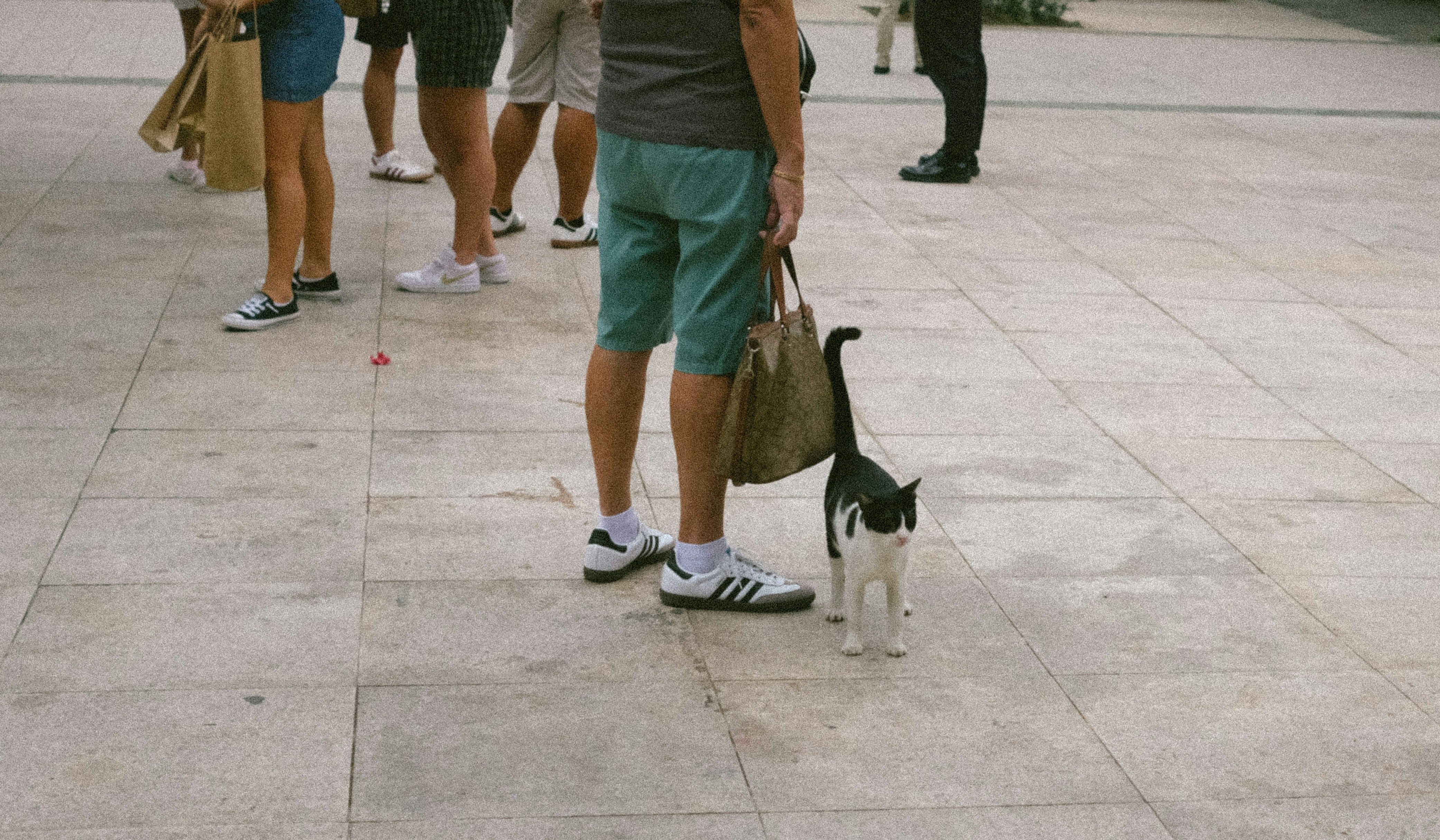 Pat Ferranco (@ptfrrnc) | Comunidade de fotos da Unsplash