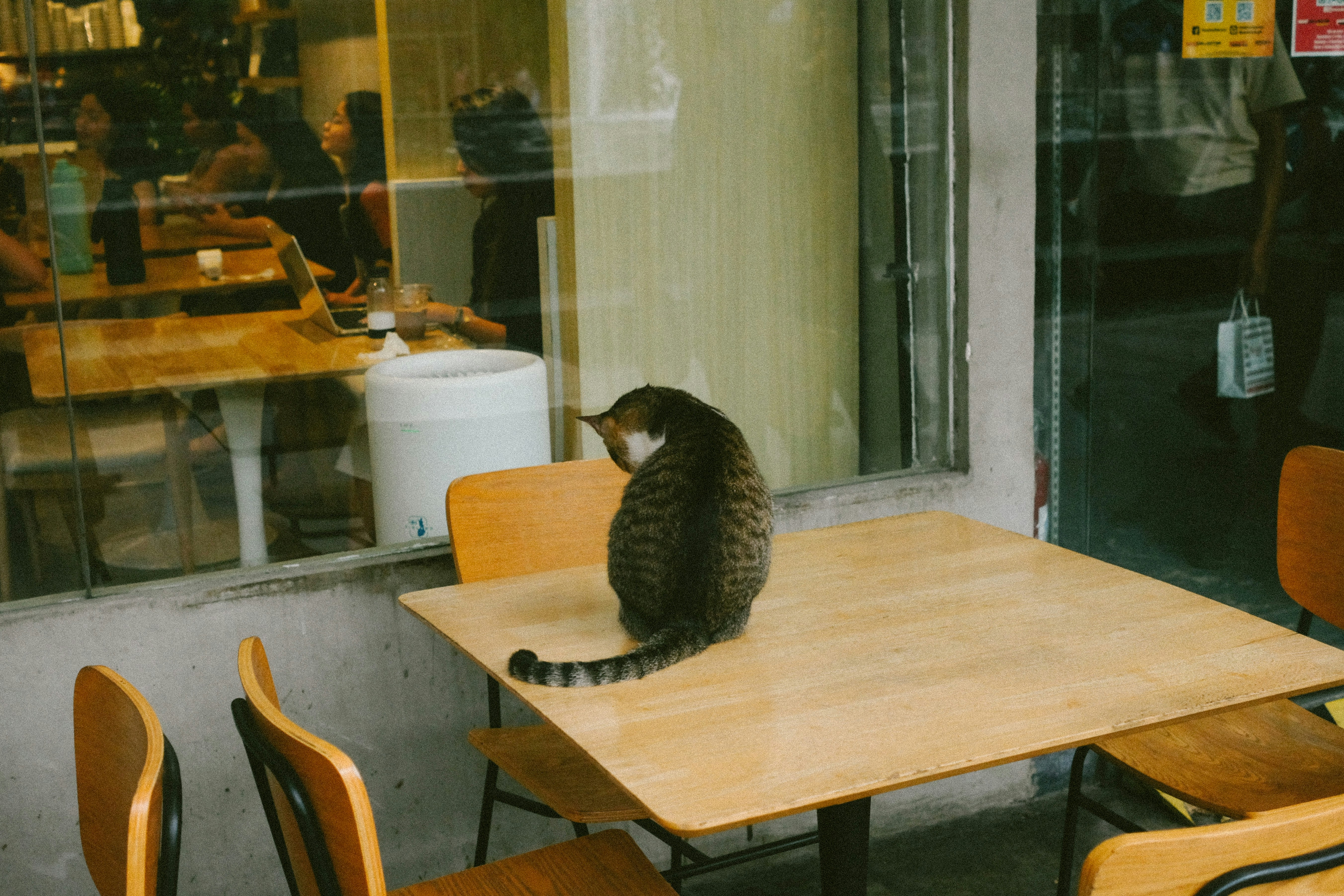 Photo by Pat Ferranco with Fujifilm X-E3