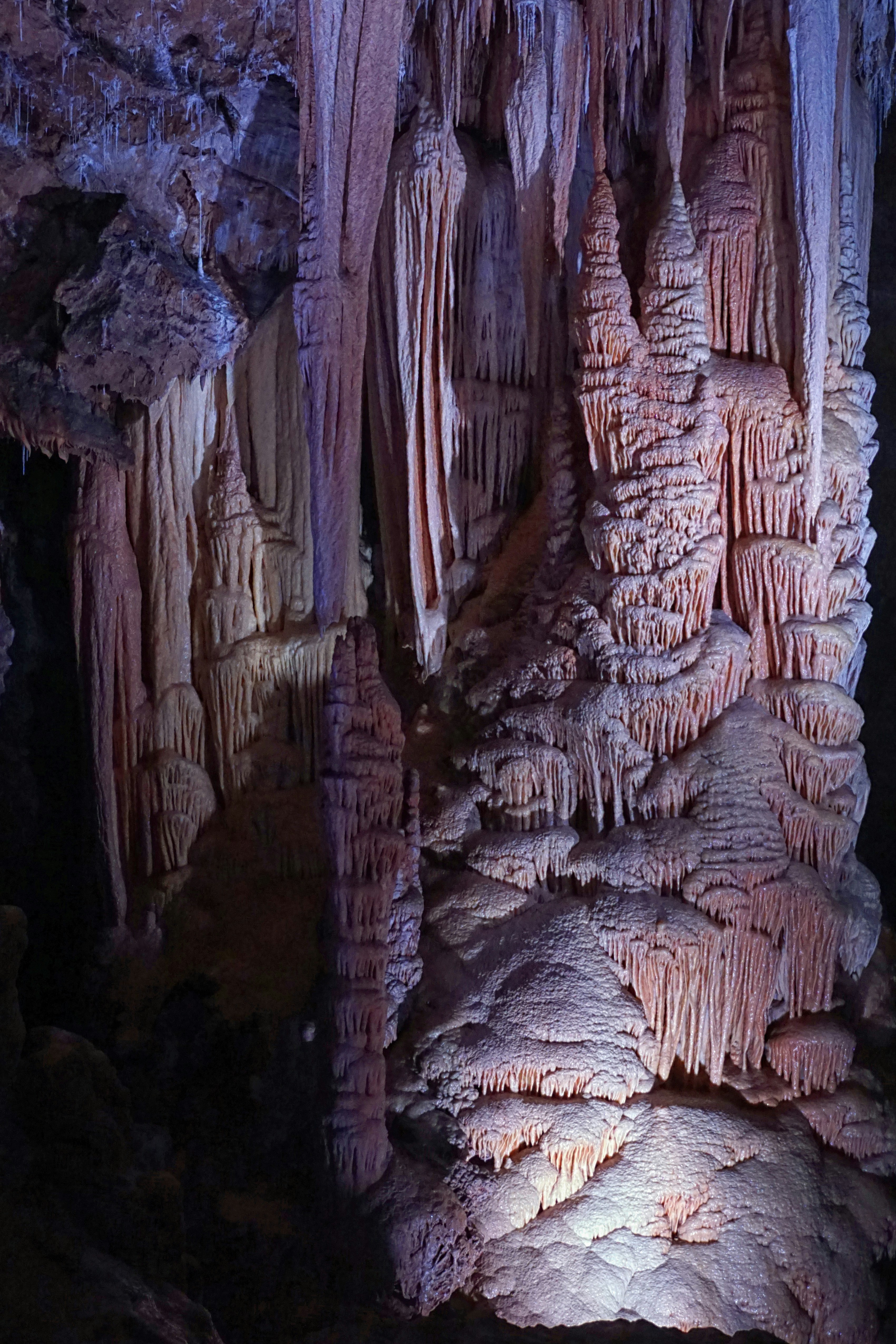 Photo by Markus Kammermann with Sony Alpha 77 II