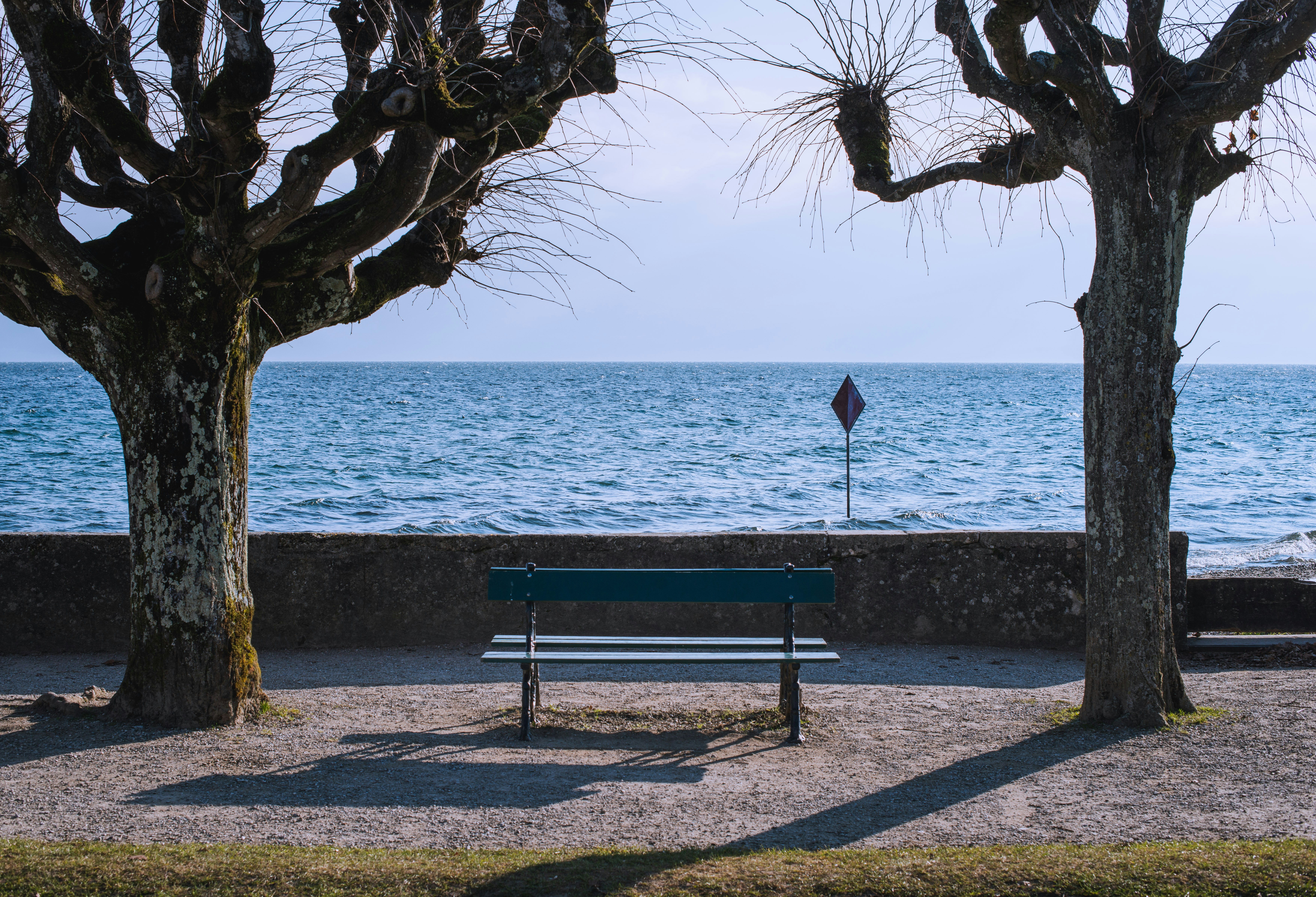 Seaside Silence: A bench Framed by Pruned Trees and Sea