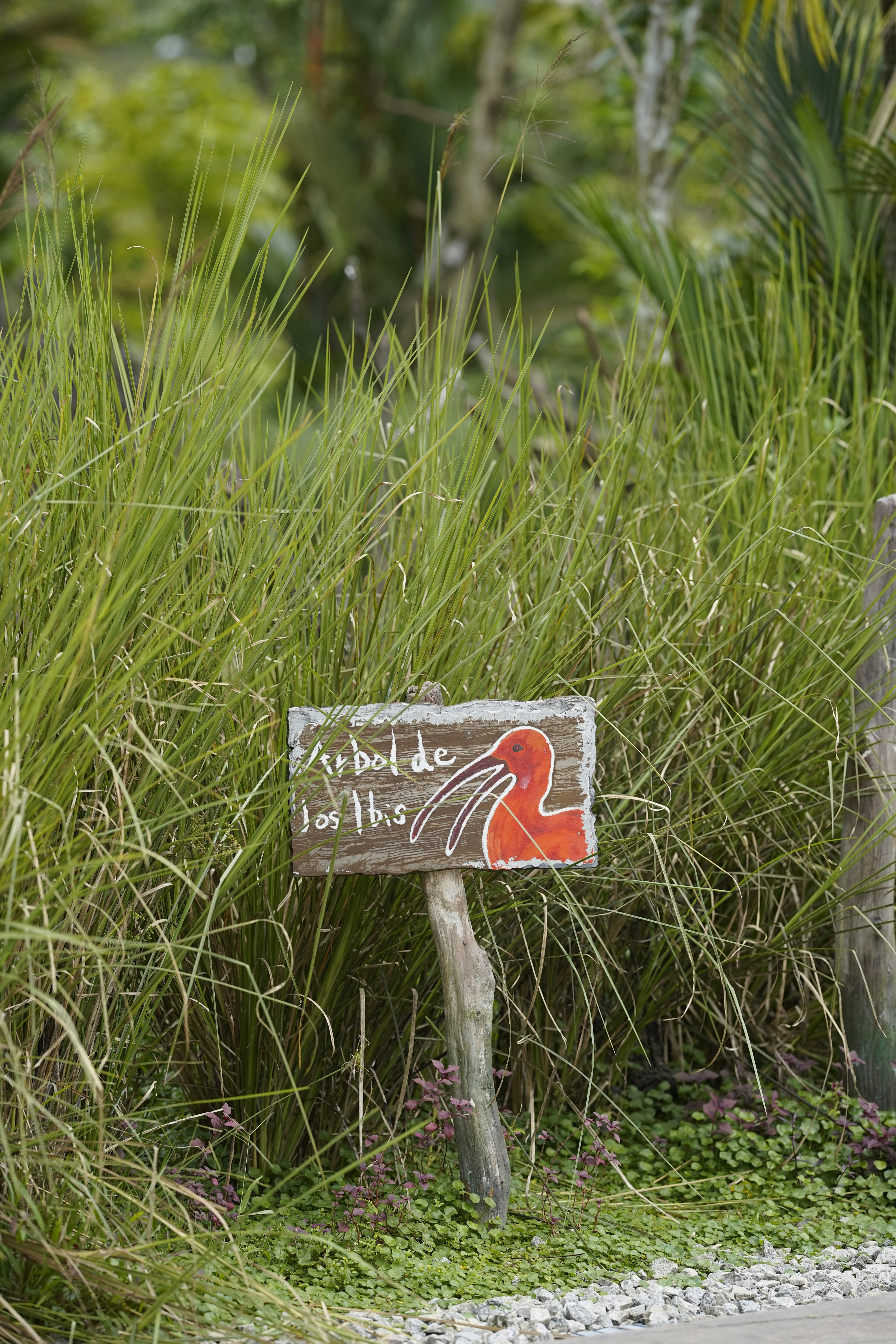 Photo by Elizabeth Mary with Sony Alpha 7 III