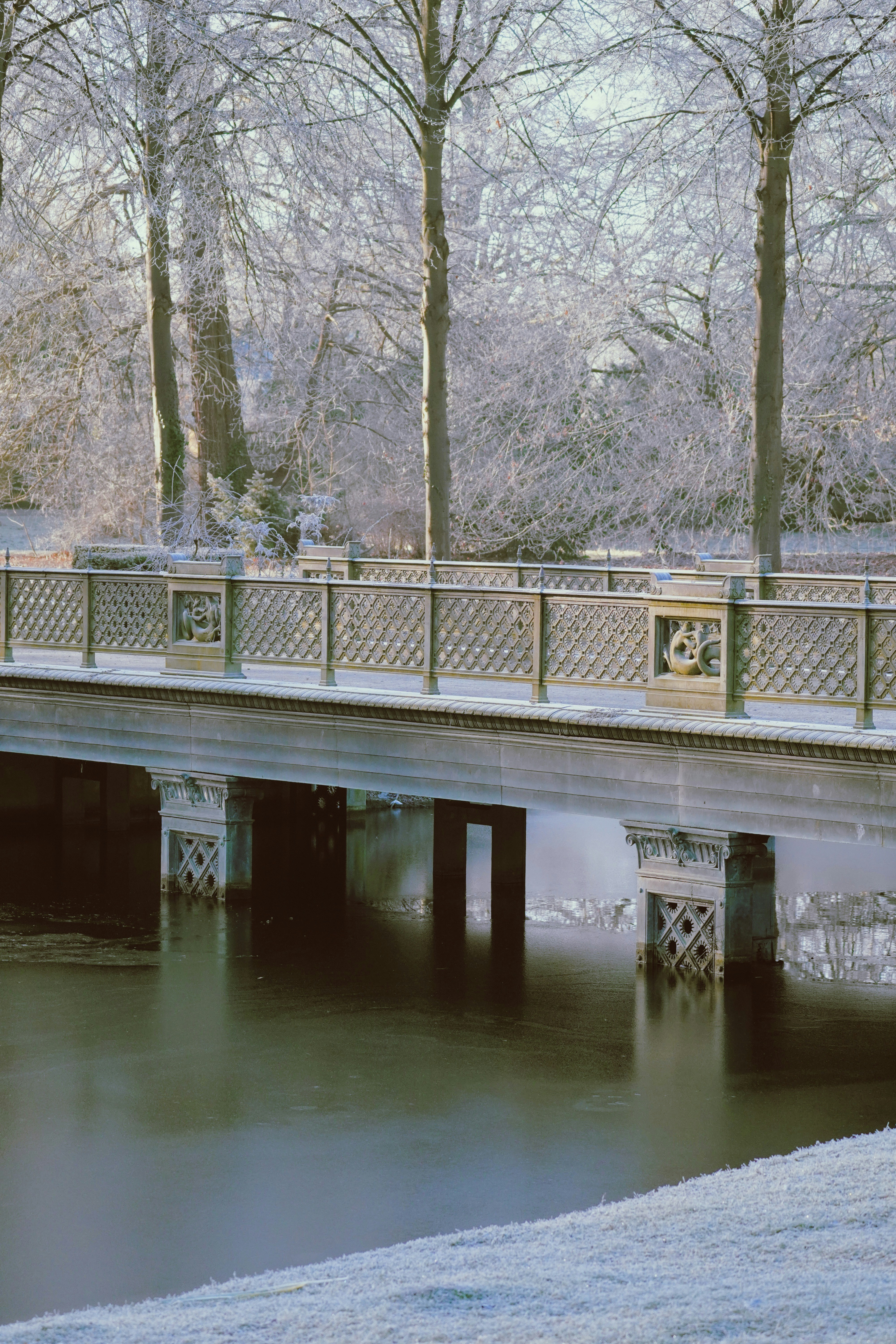 Bridge in Frost: A Winter River Framed by Snow-Laced Trees
