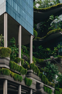 Lush Facade: Urban Jungle Clinging to Modern Glass