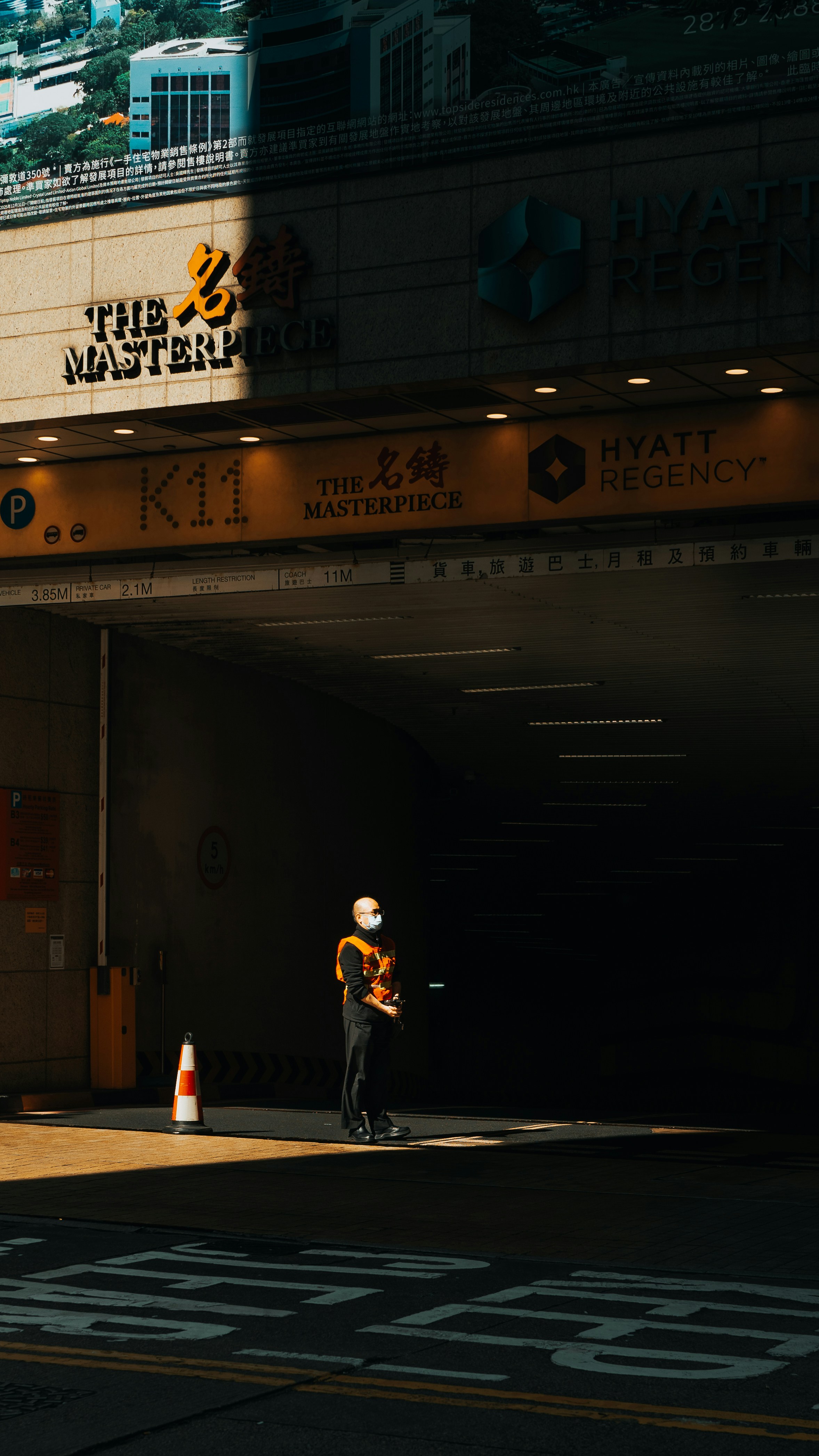 Street Guardian in Shadowed Entrance