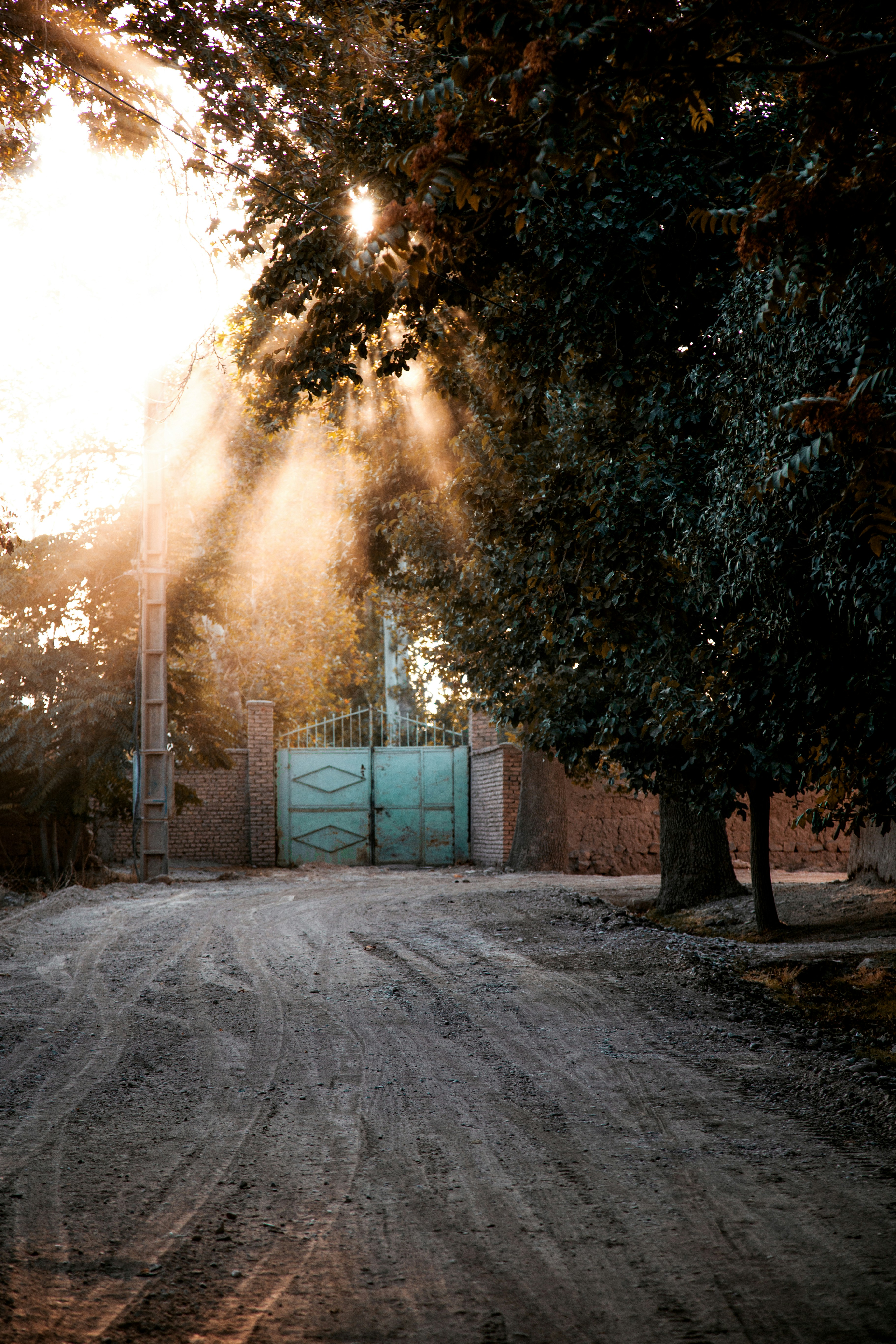 Sunlight streams through tree branches, illuminating a dirt path leading to a teal gate.