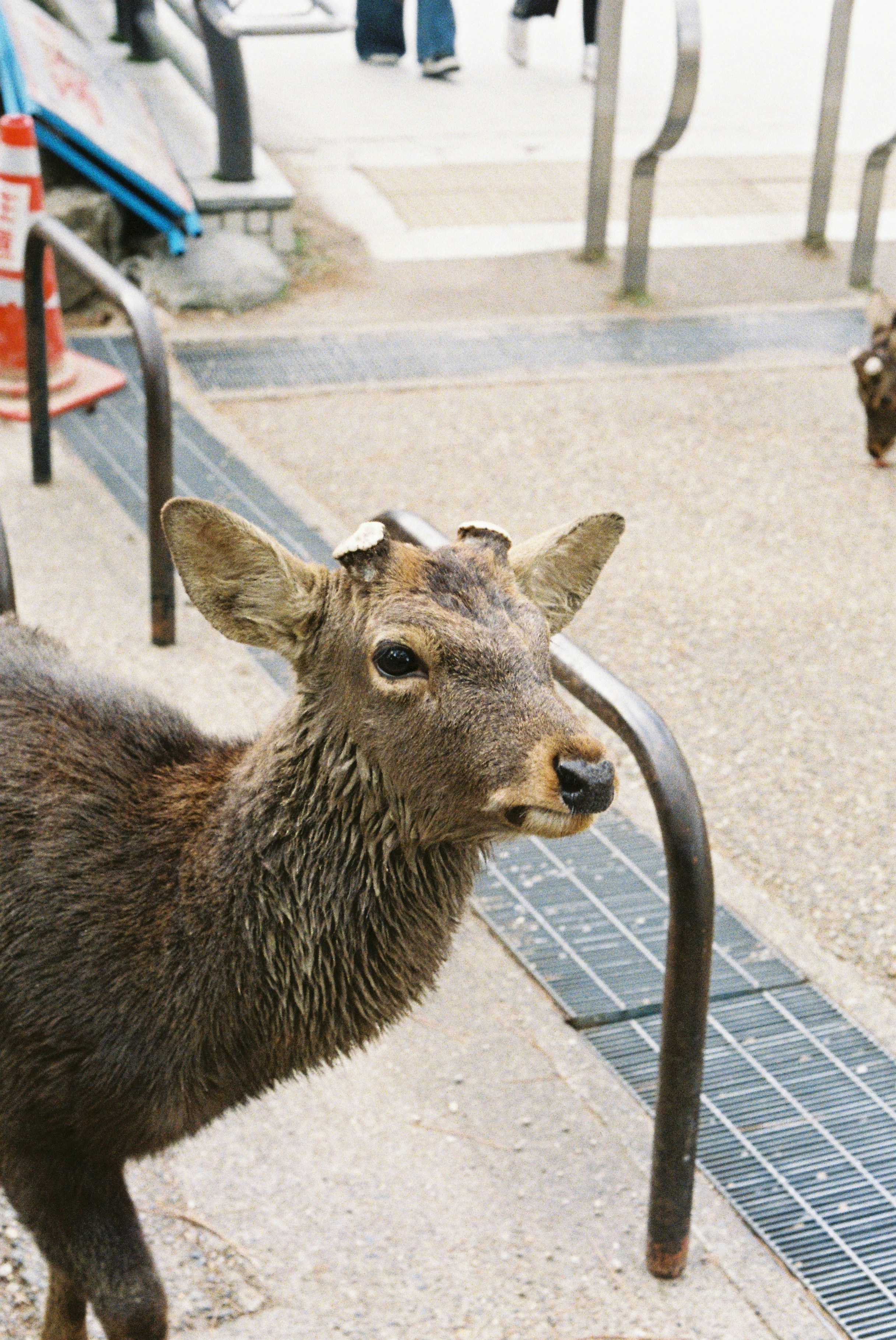 Photo by Maxim Makarov with Fujifilm SP-3000
