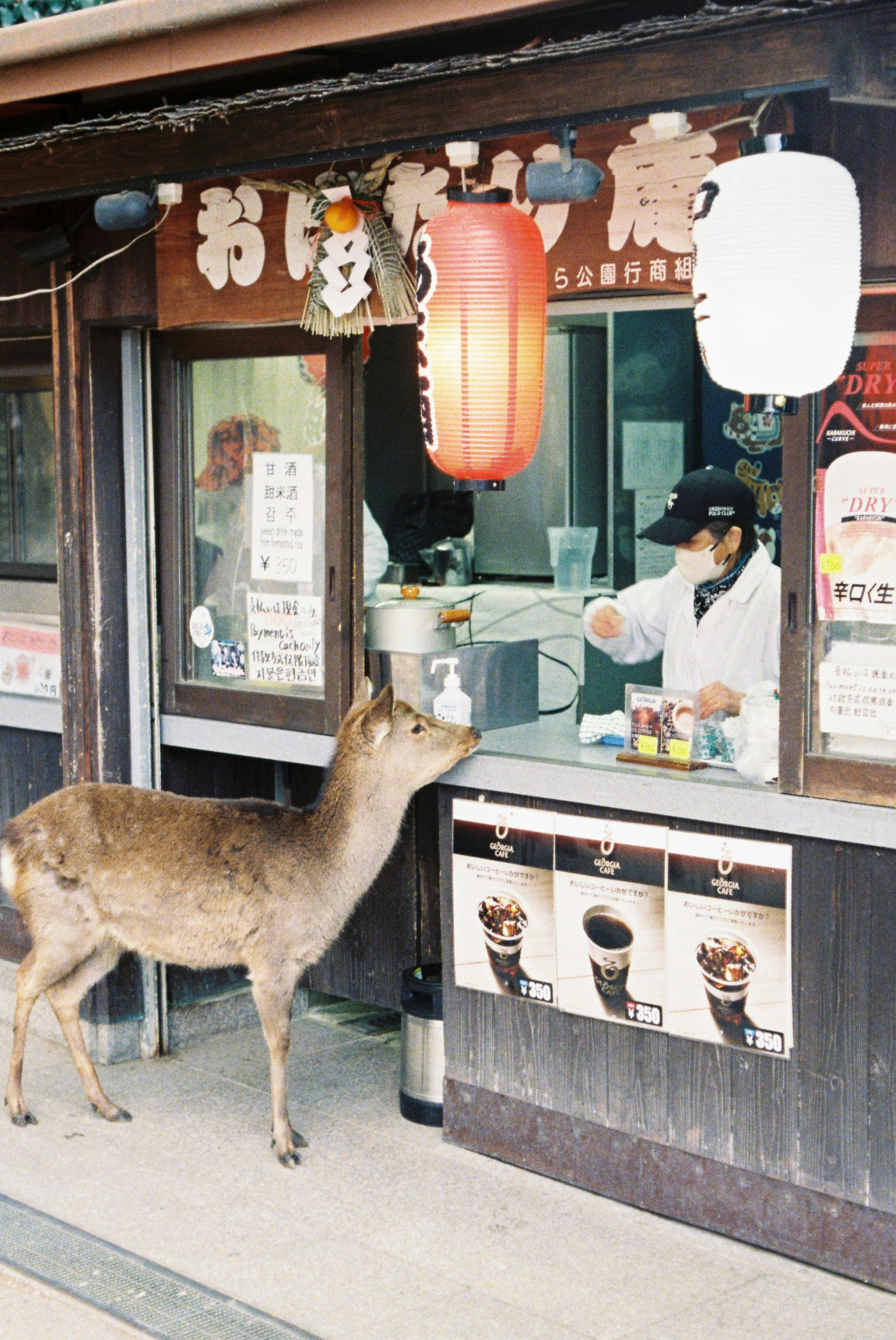 Lantern-lit Encounter: A Deer at the Window of a Japanese Stall
