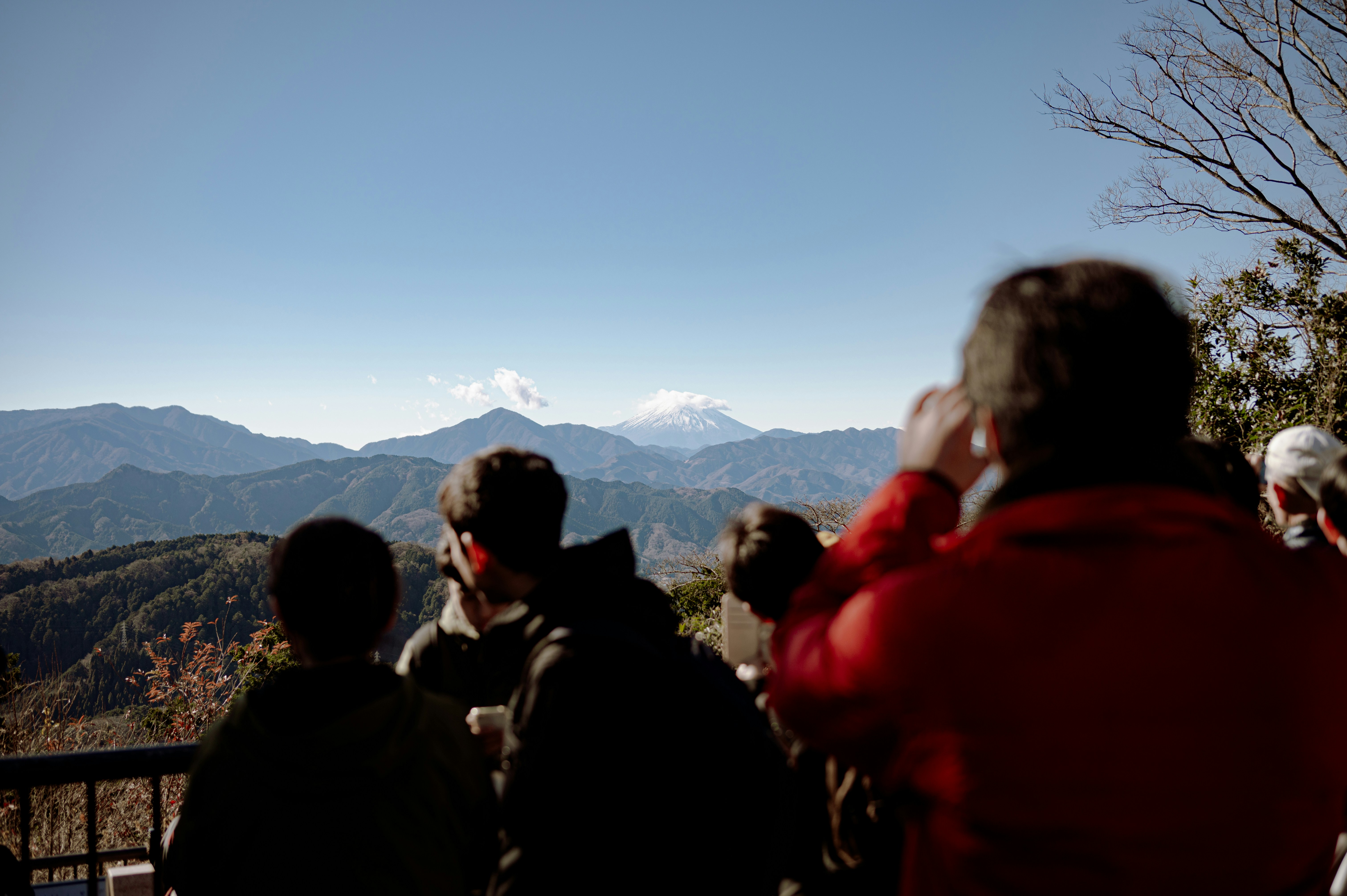 Ridgeview Vista: Quiet Observers Turn Toward Snow-tipped Peaks