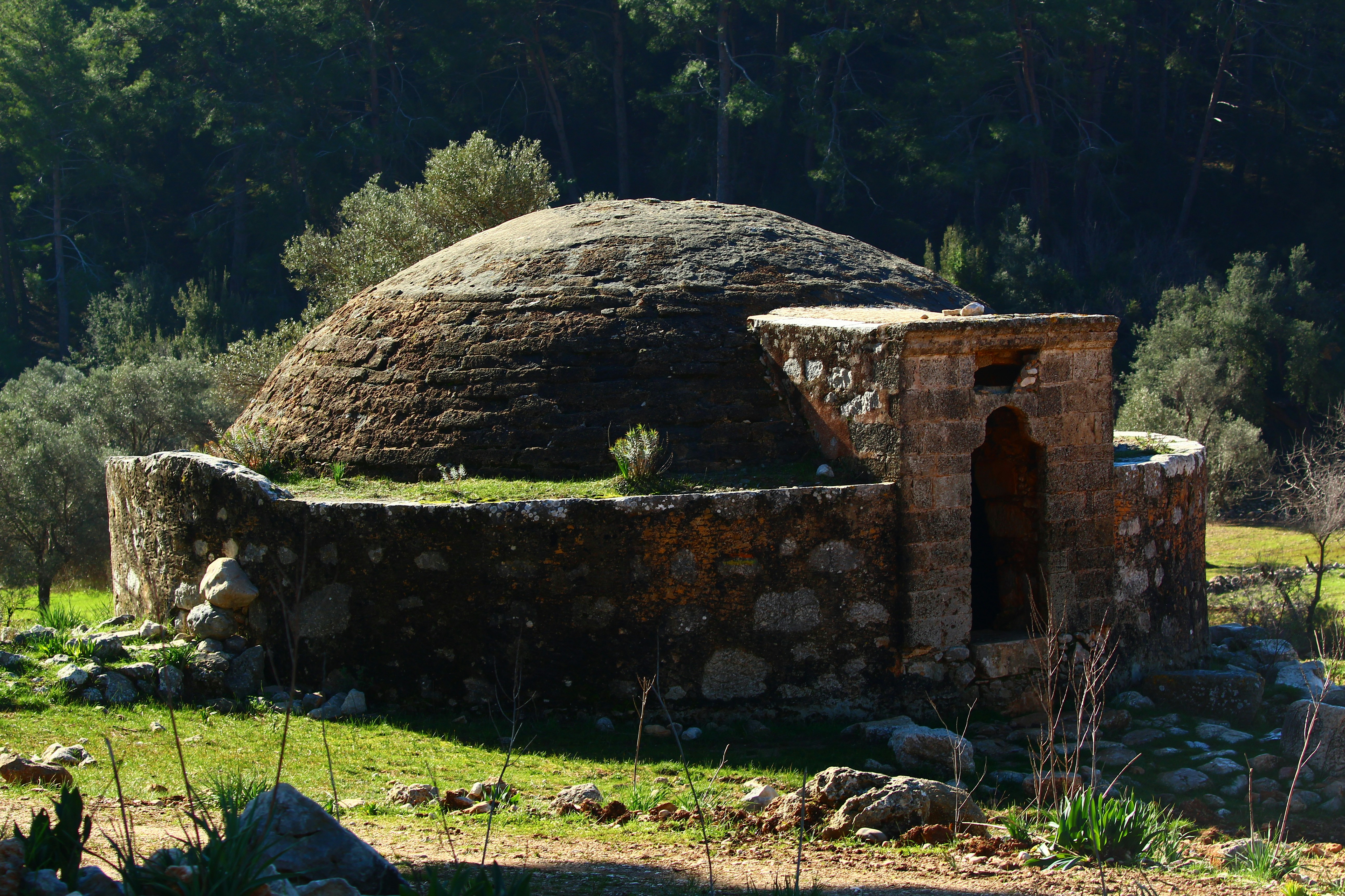 Cistern Pictures | Download Free Images on Unsplash