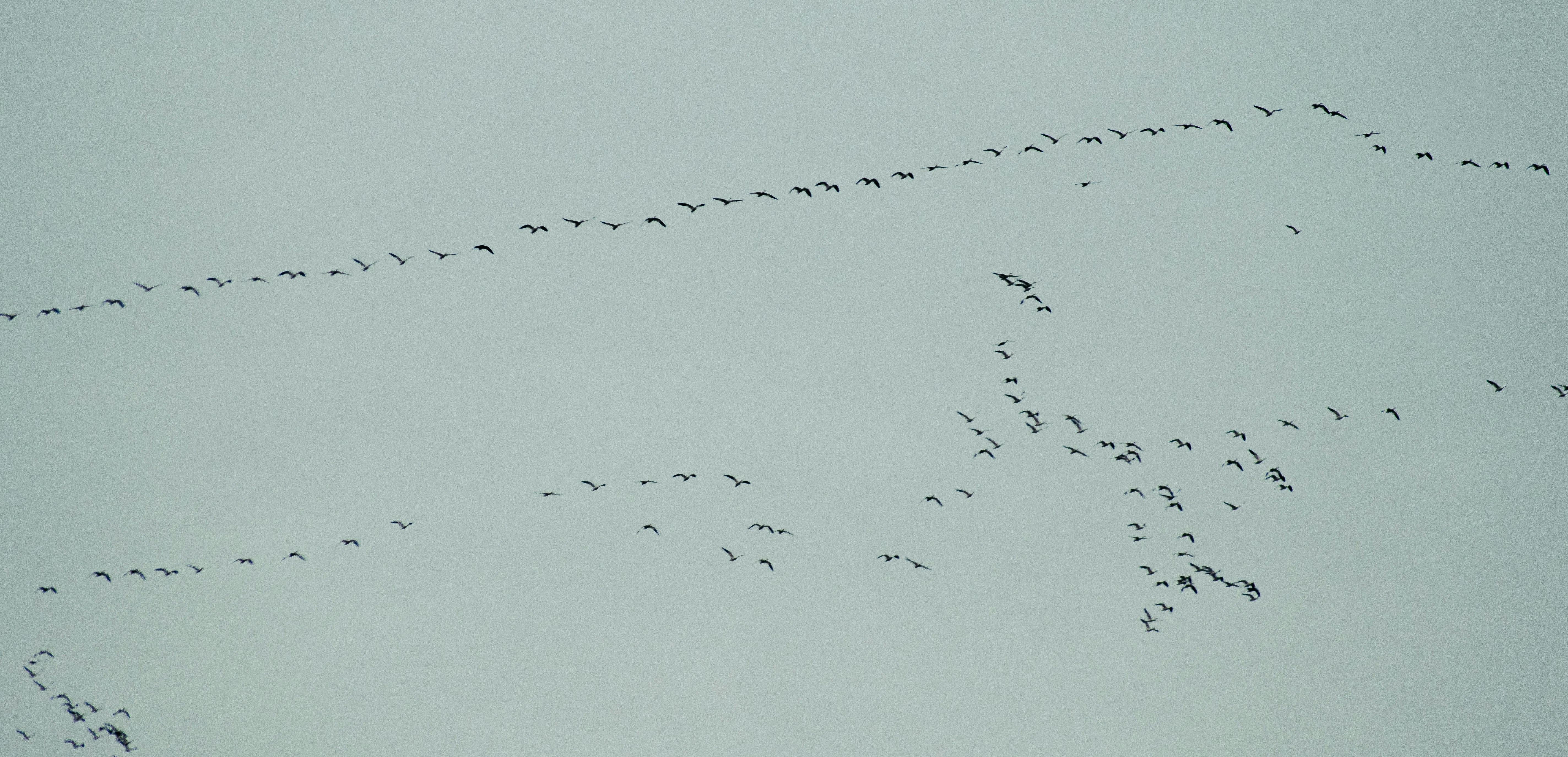 Photo by Ryan Eads with Nikon D3500