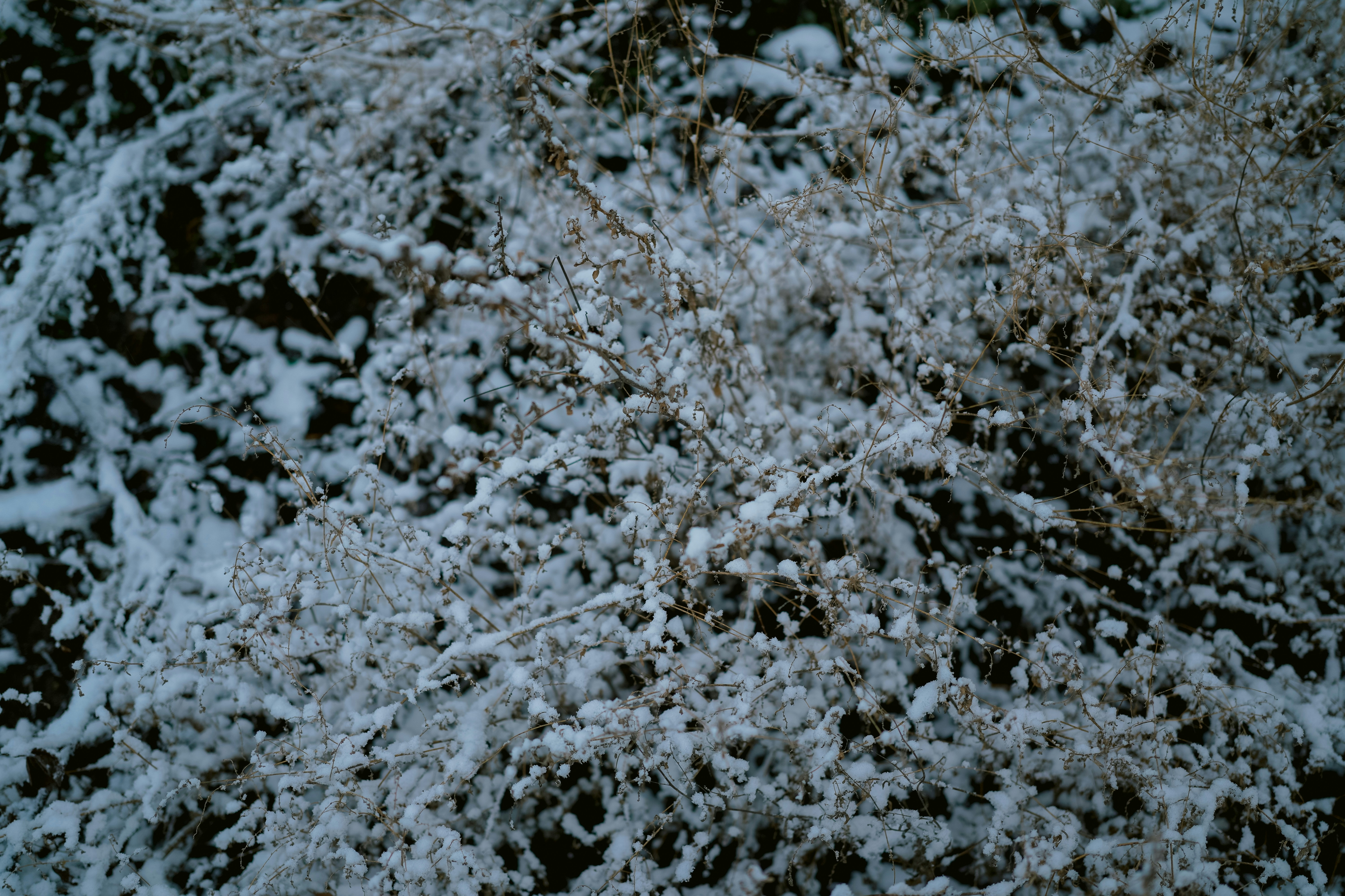 Photo by Kateryna Ivanova with Sony Alpha 7C