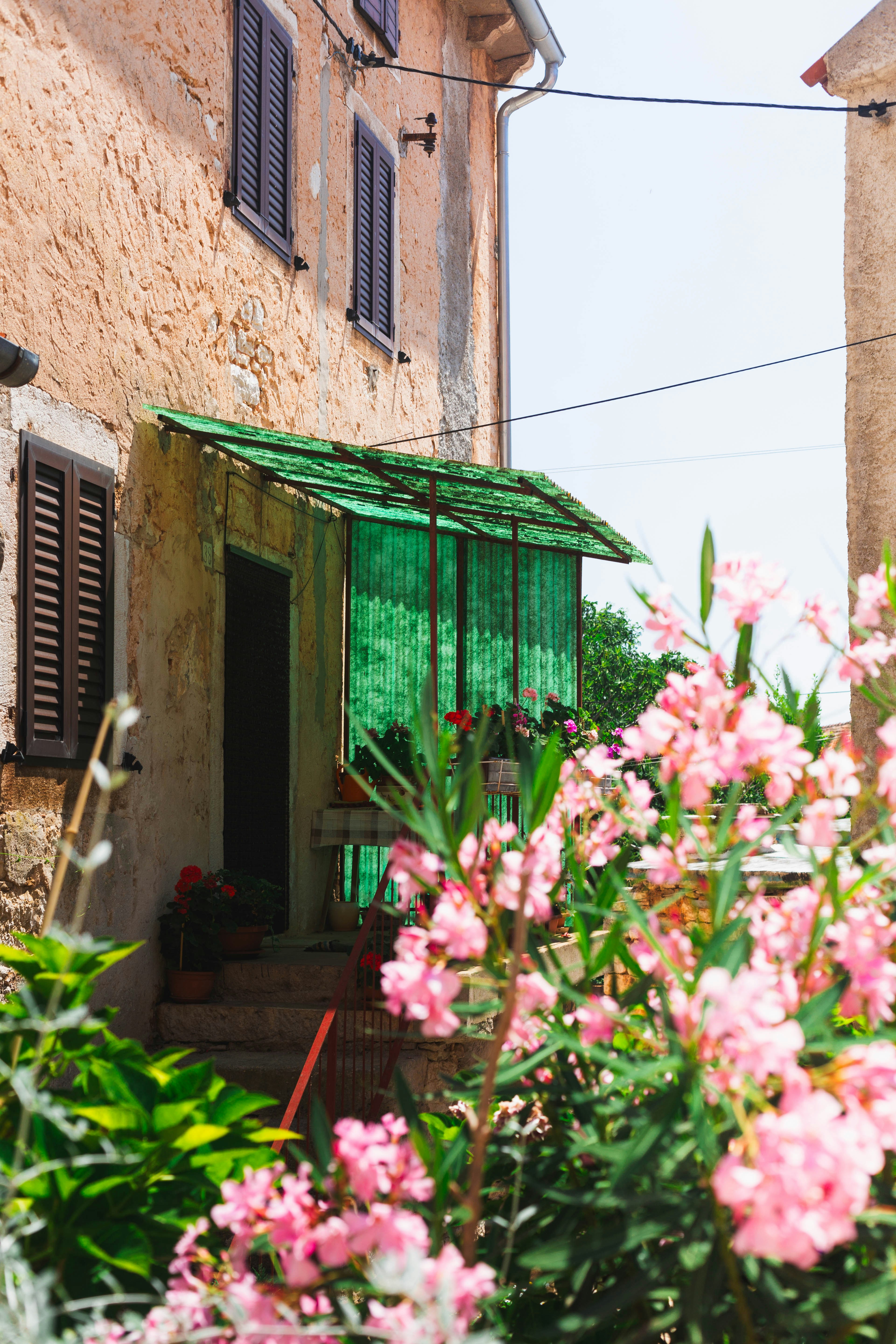 Photo by Devon MacKay with Canon EOS 5D Mark III