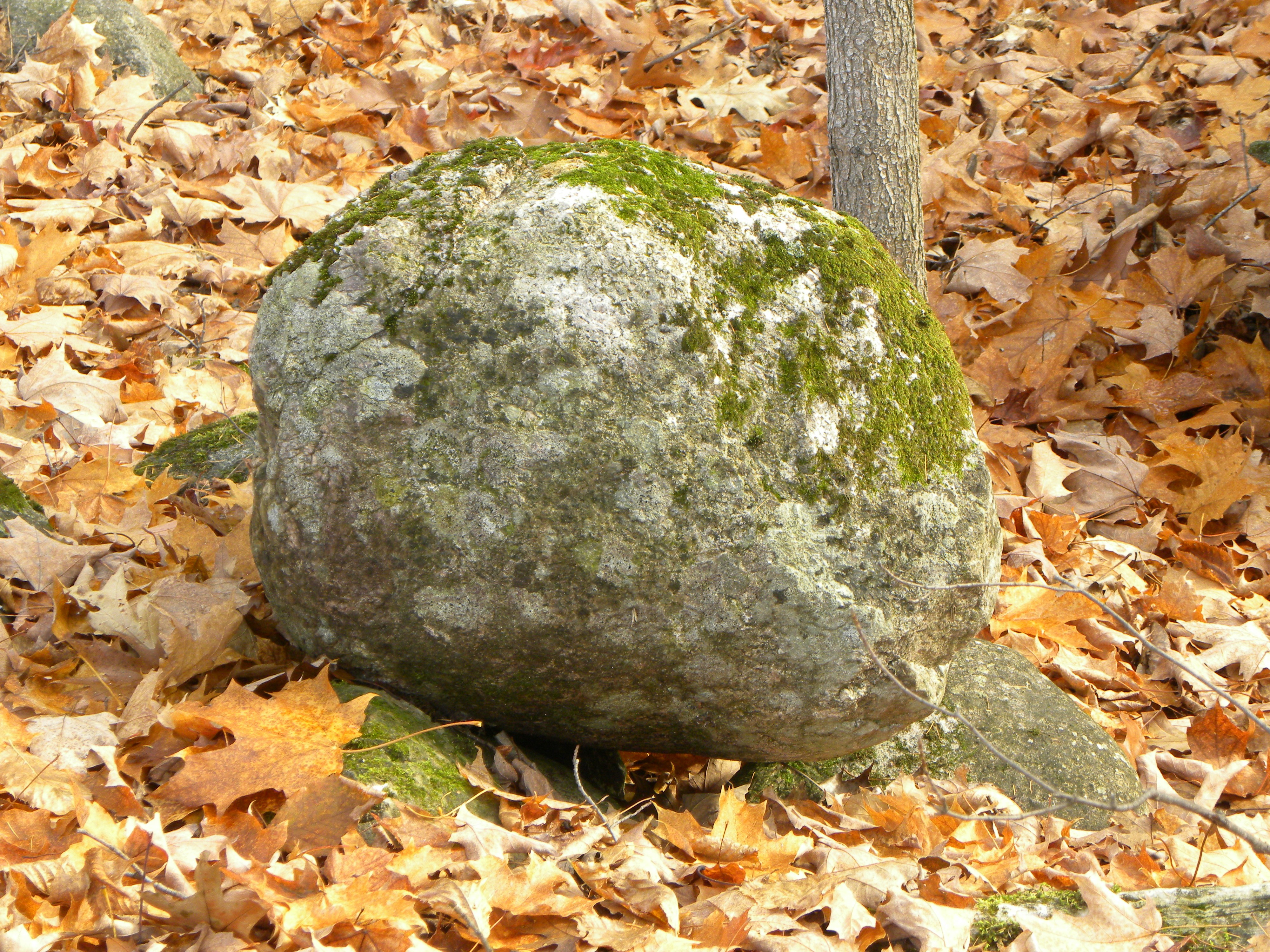 Photo by Doug R. W. Dunigan with Nikon COOLPIX P90