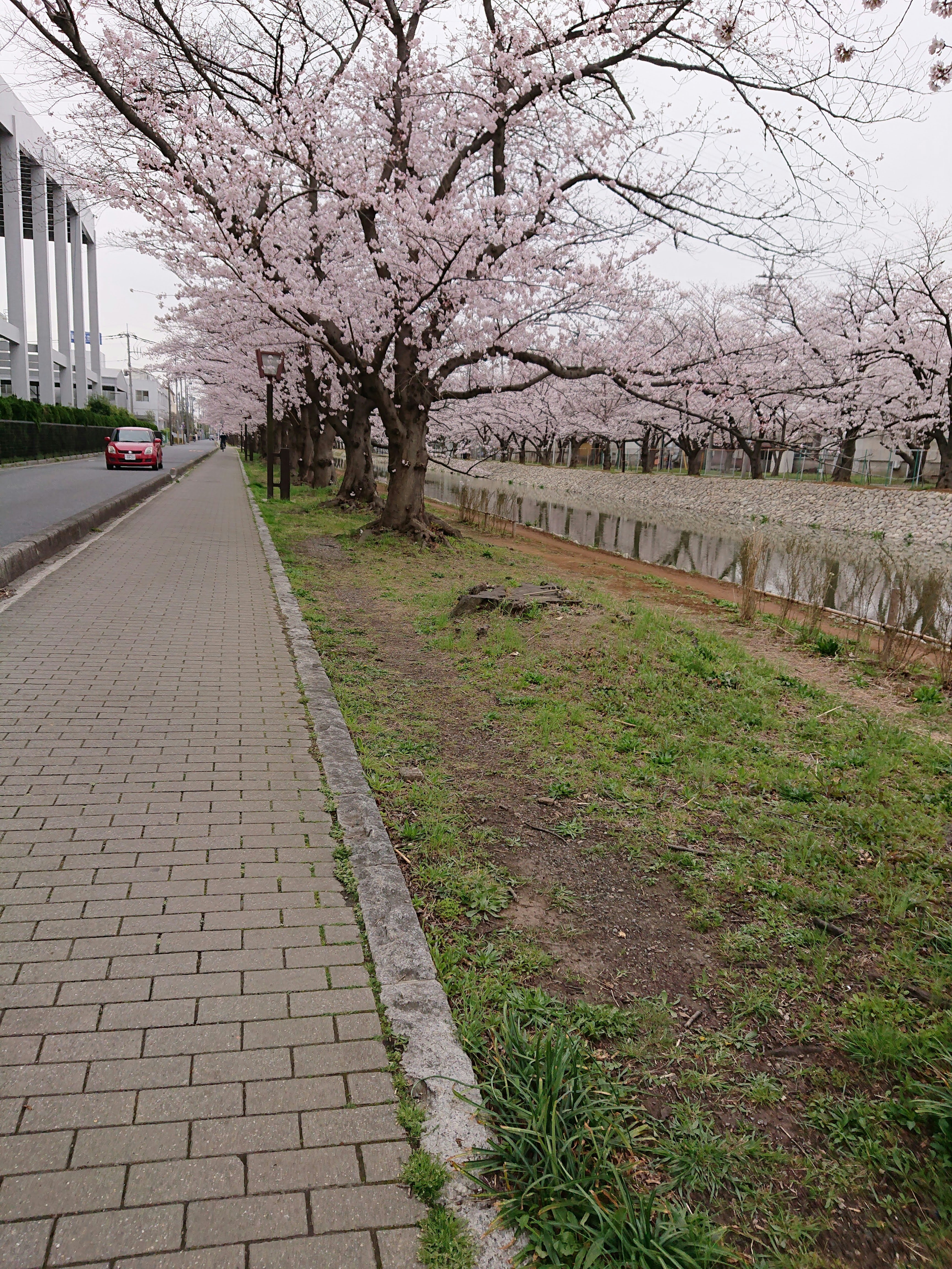 Photo by Katz Sato with Sony Xperia XZ2