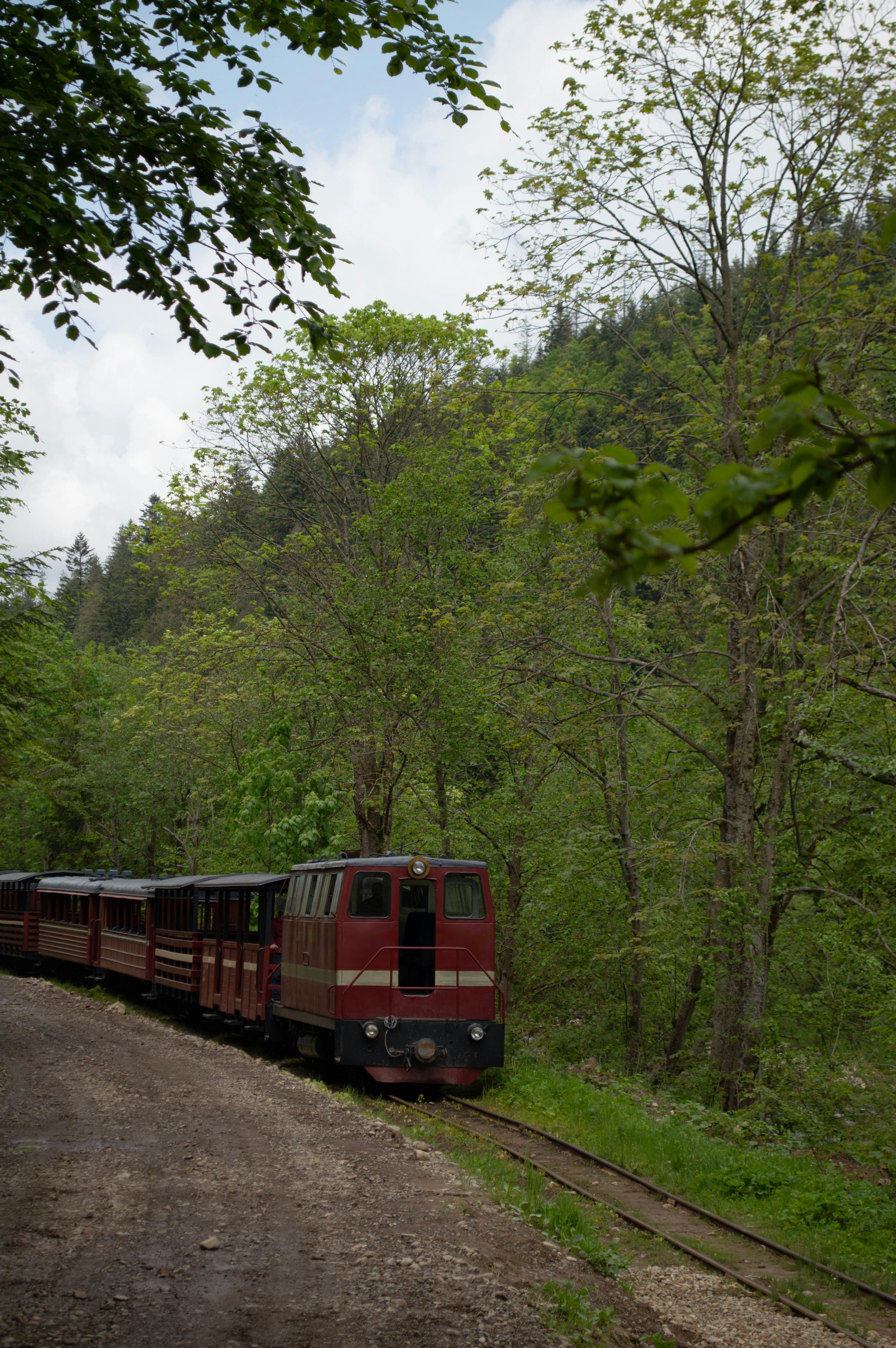 Photo by Dmytro Dovgan with Nikon D3200