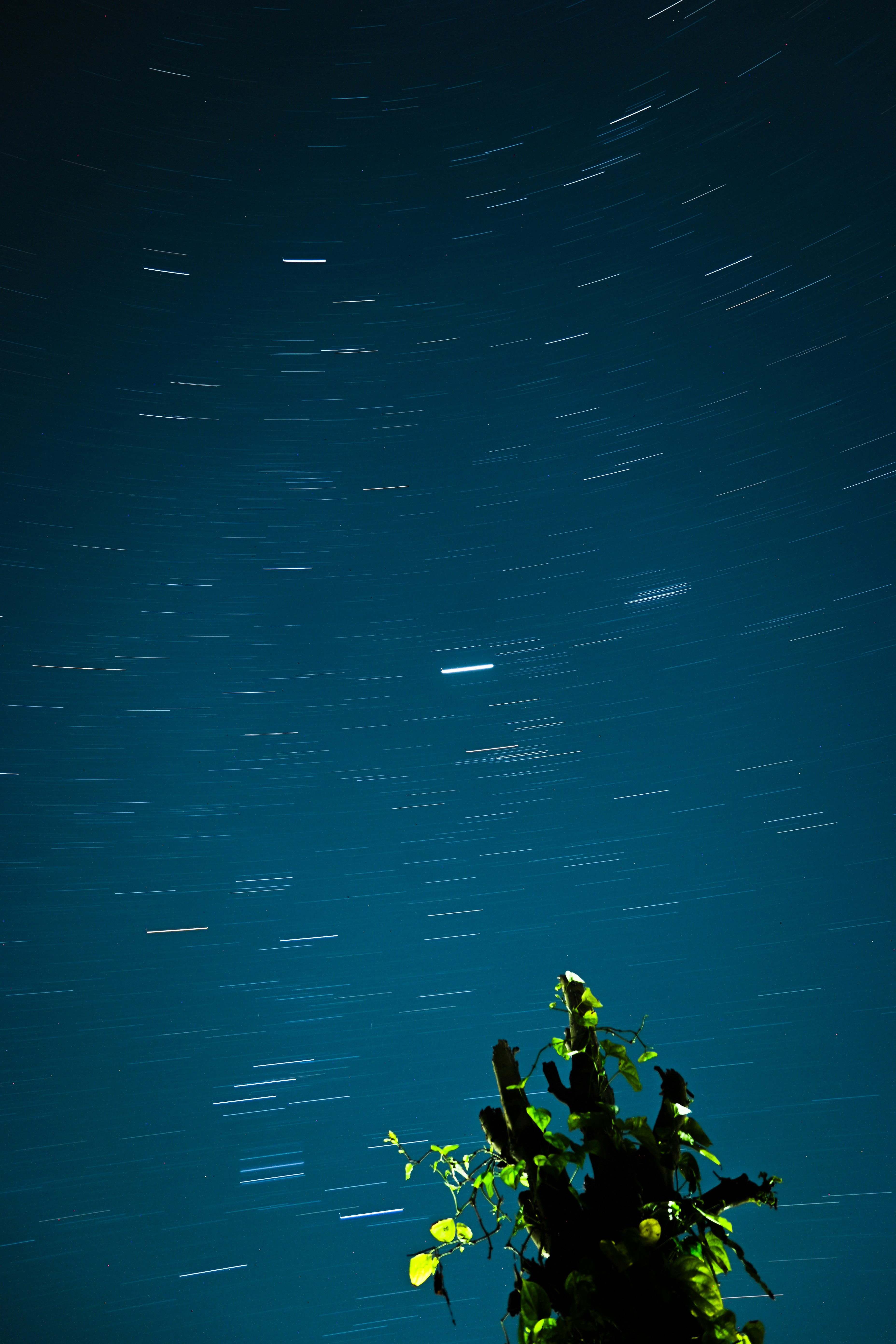 Whispers of the Cosmos: A Celestial Dance