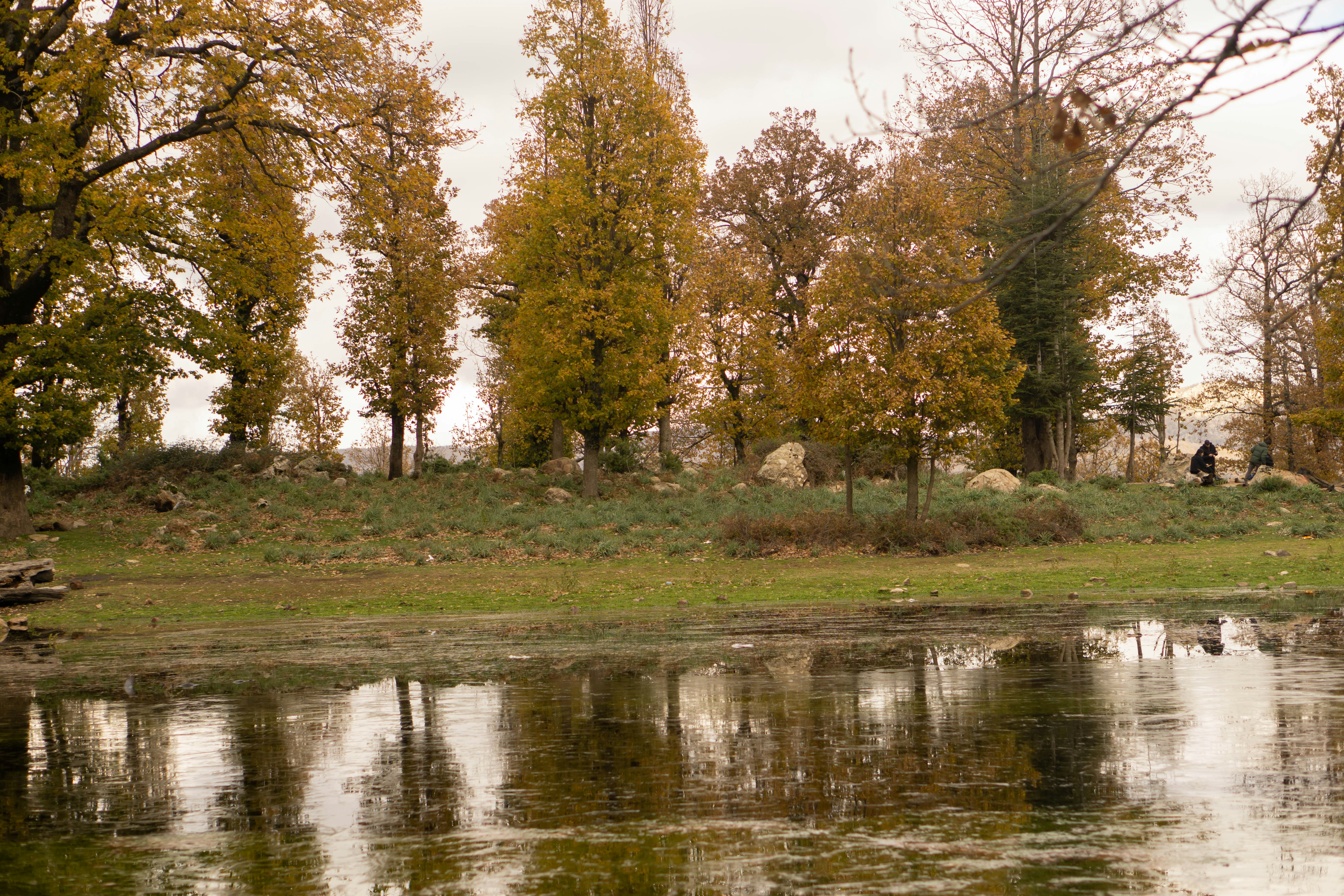 Autumn's Embrace by the Water's Edge