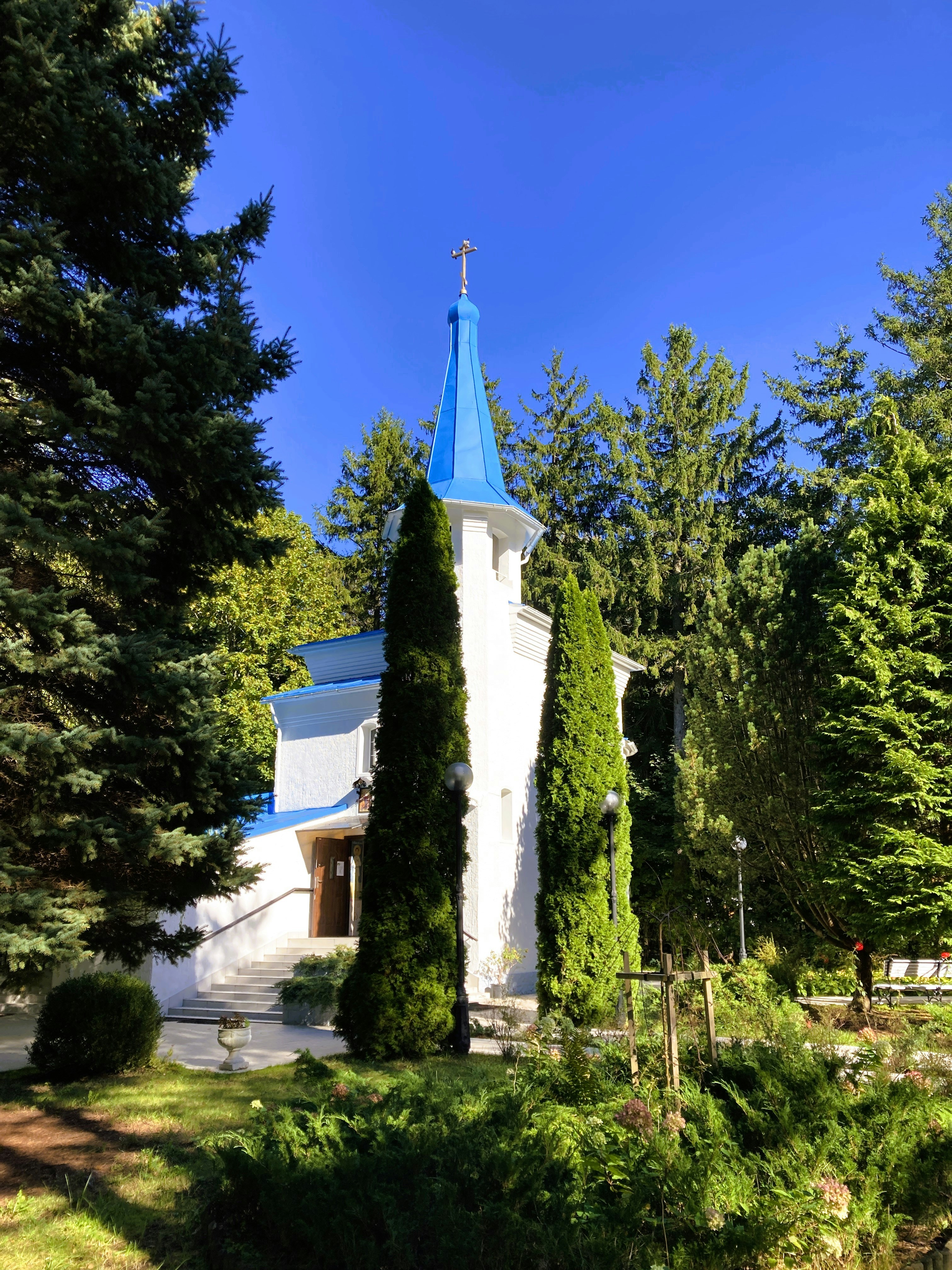 A white church with a blue steeple surrounded by trees photo – Free ...