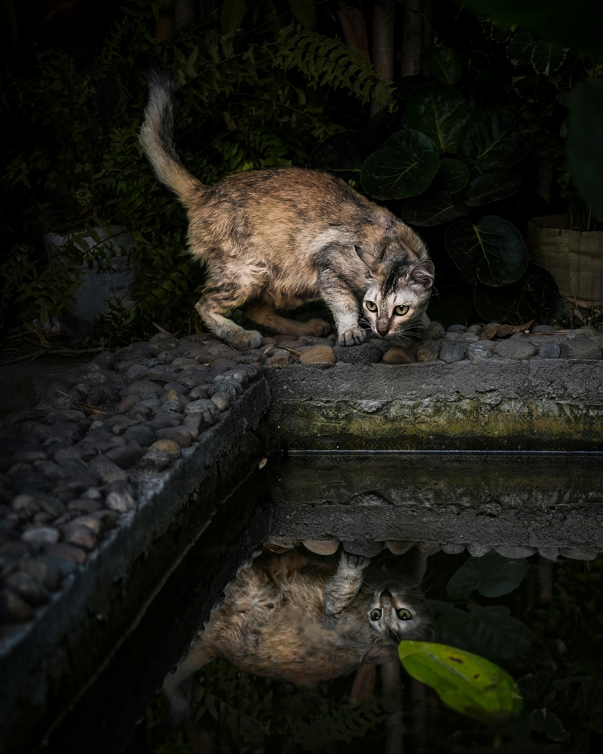 mohammad samir (@mohammad_samir) | Unsplashフォトコミュニティ