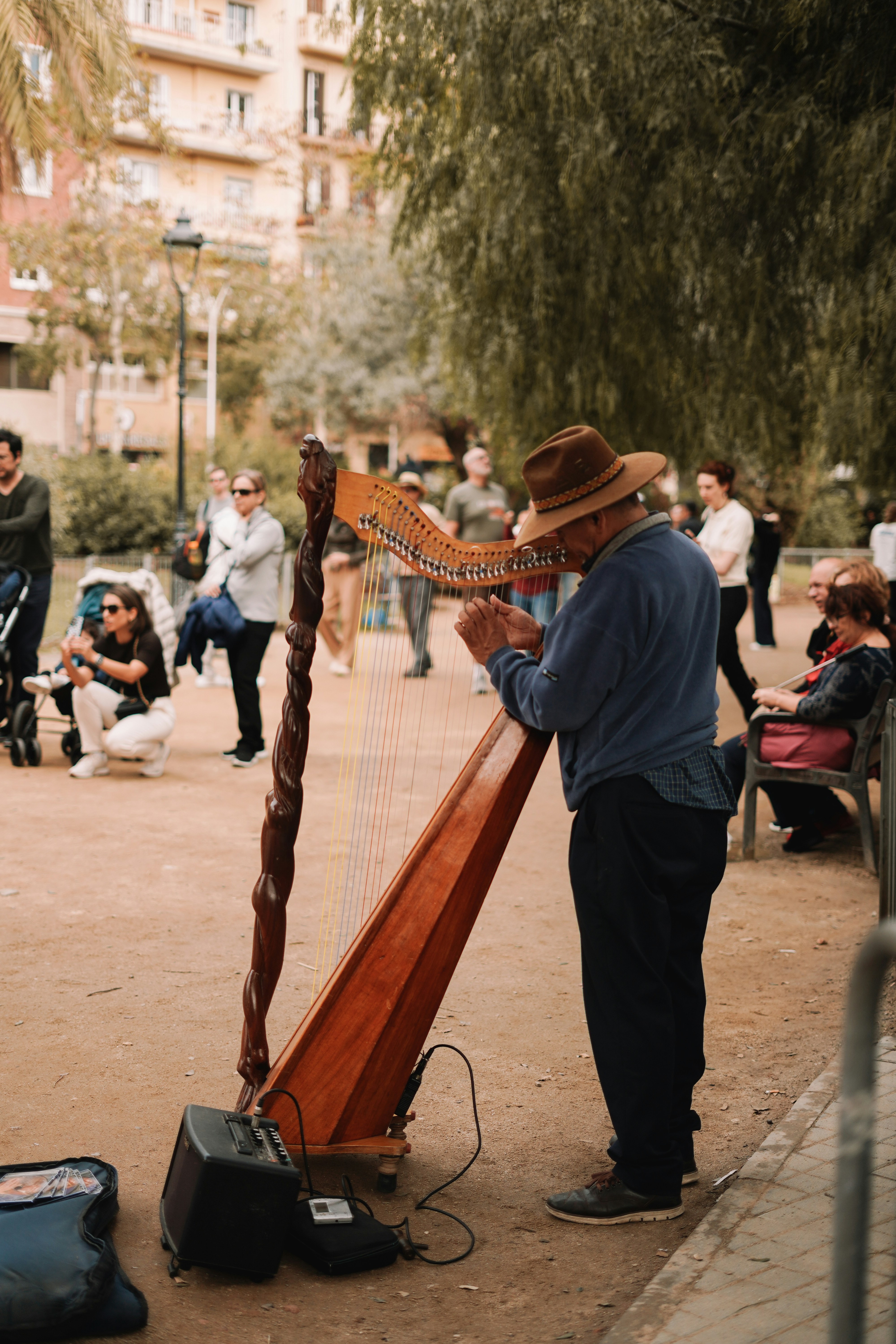 Strings of Serenity: A Harpist's Melodic Journey