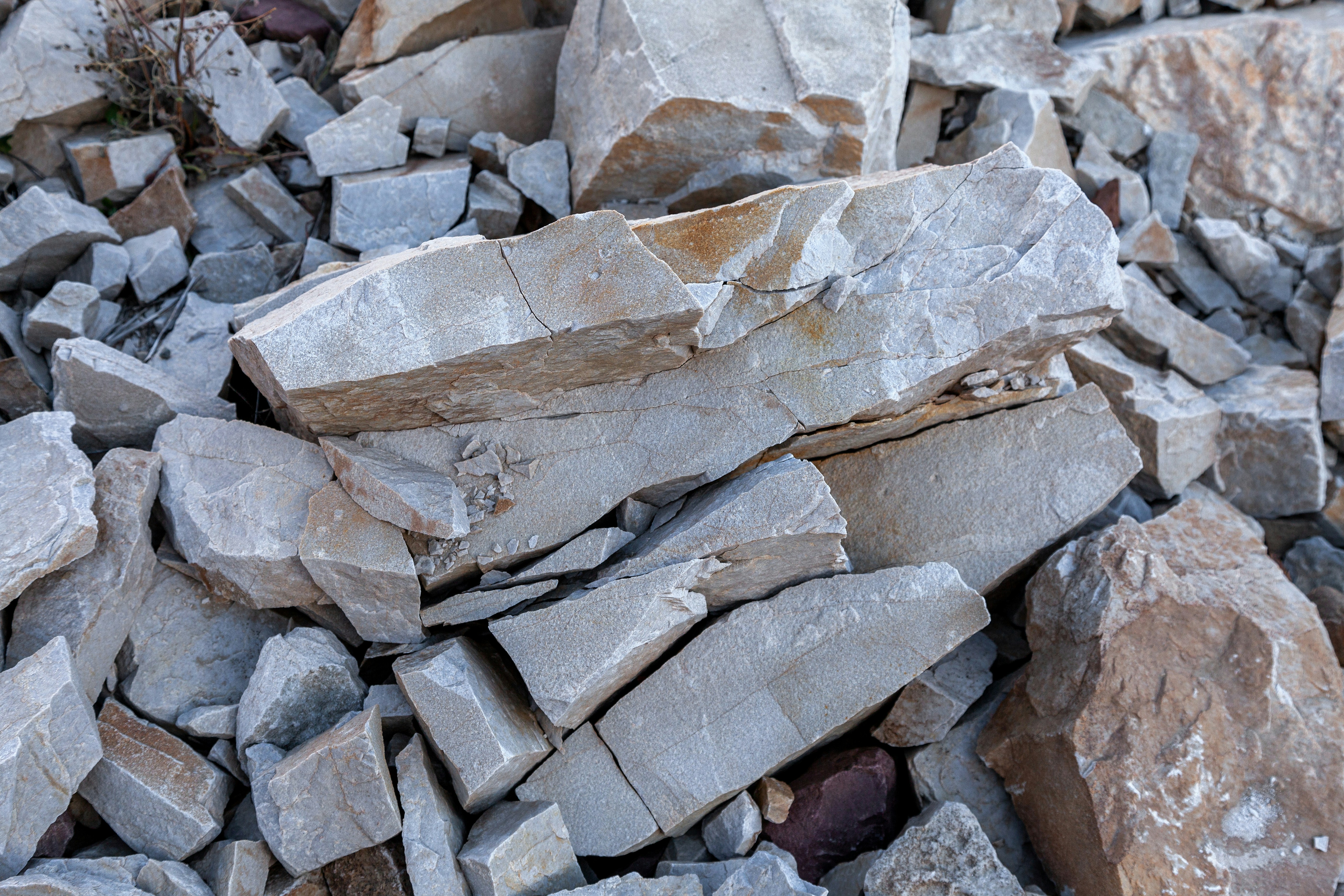 Rowan Heuvel (@insolitus) | Unsplash Photo Community