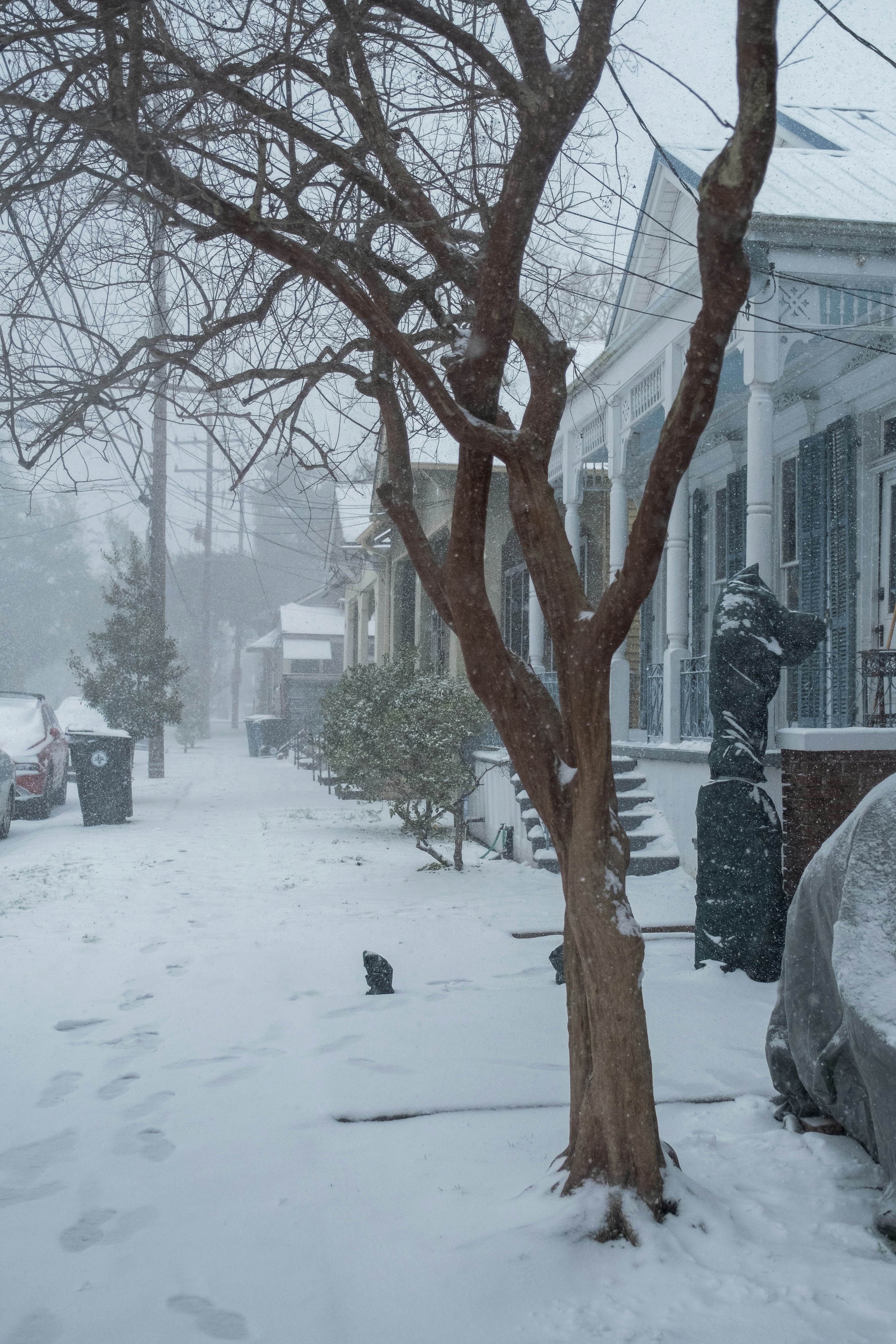 Snowbanked Street with Tree and Porch Figure