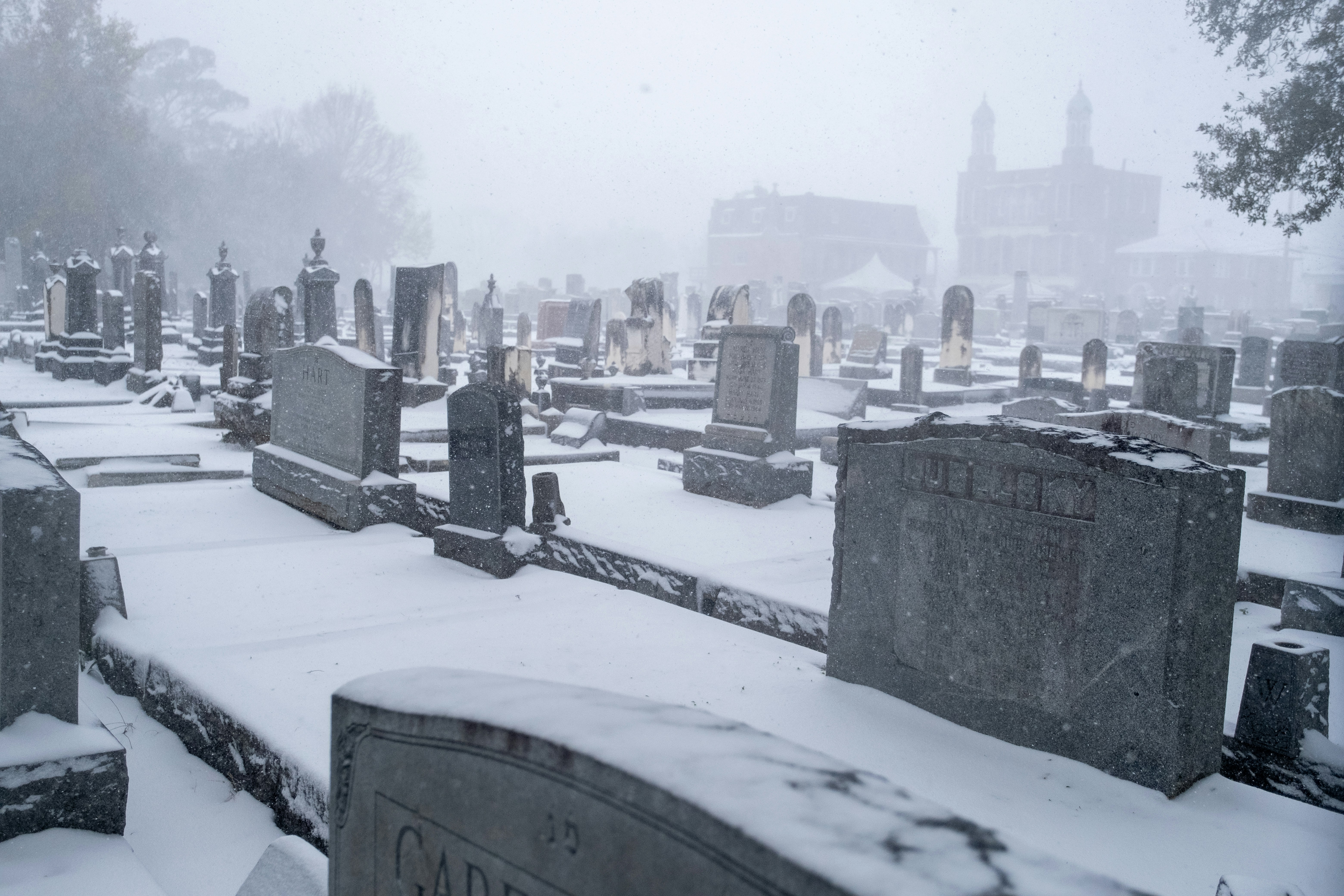 Photo by Aiden Craver with Fujifilm X-T3