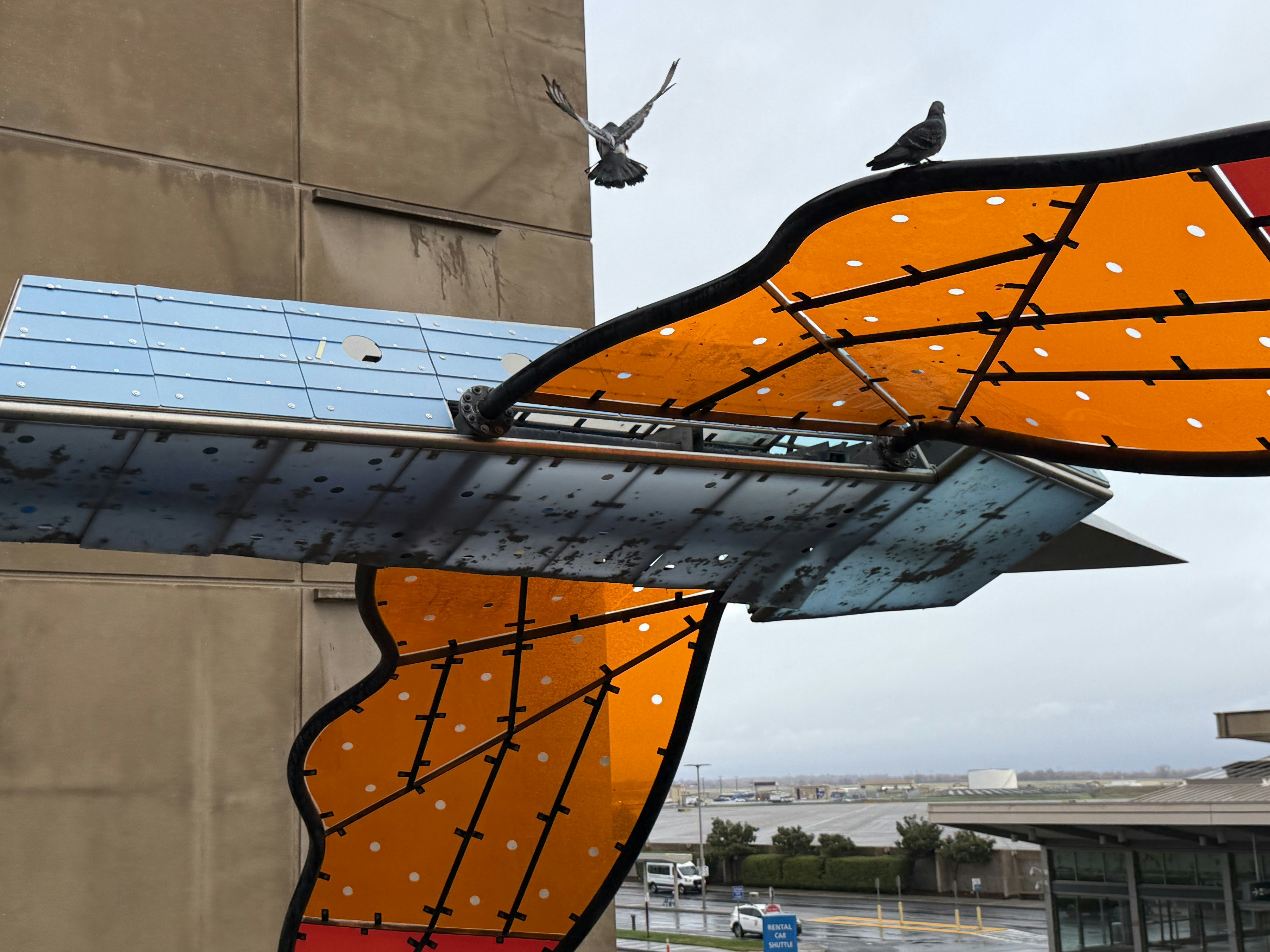 Winged Departure: A Steel and Sky Contrast