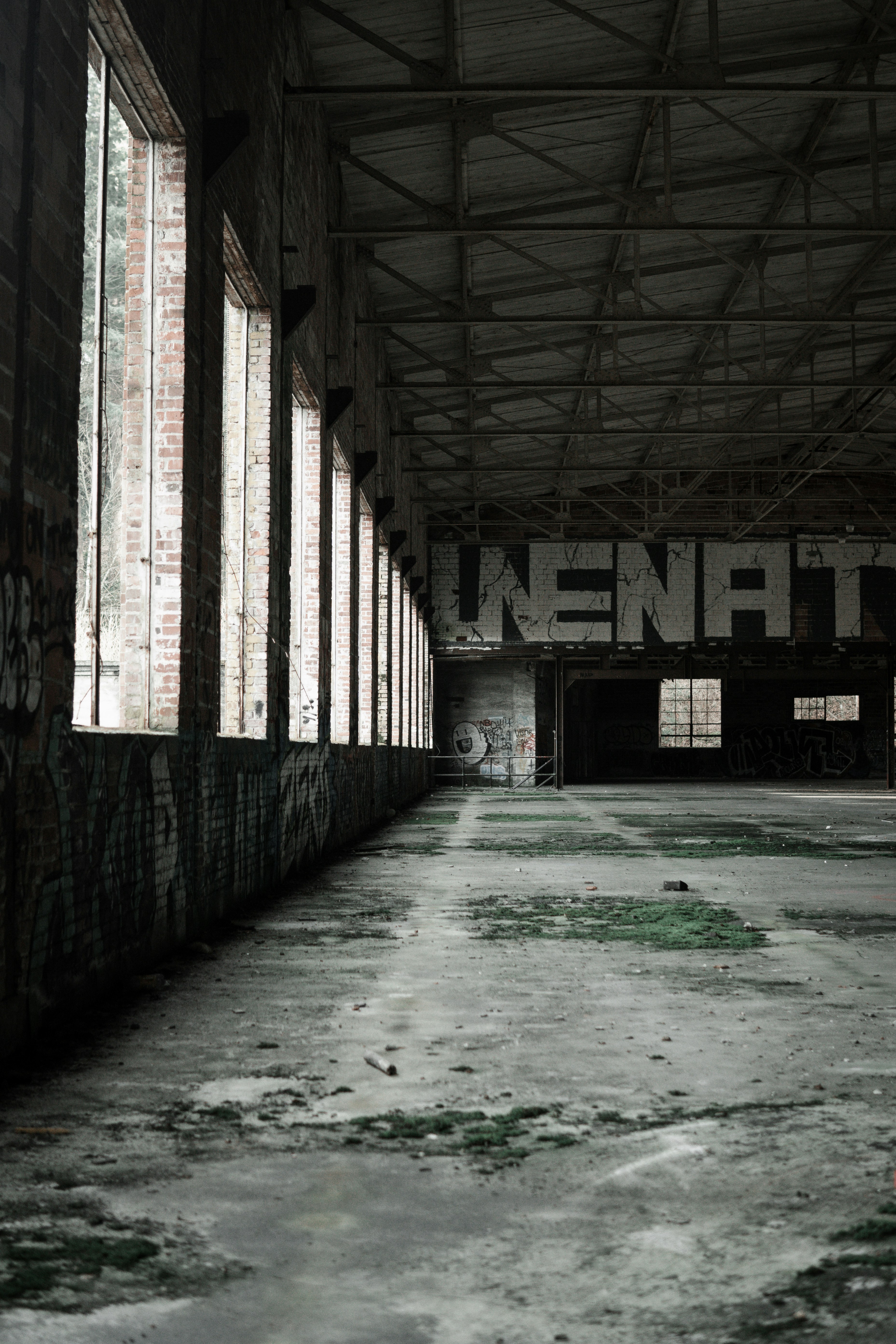 Interior of an abandoned warehouse featuring graffiti on the walls and scattered patches of greenery on the floor.