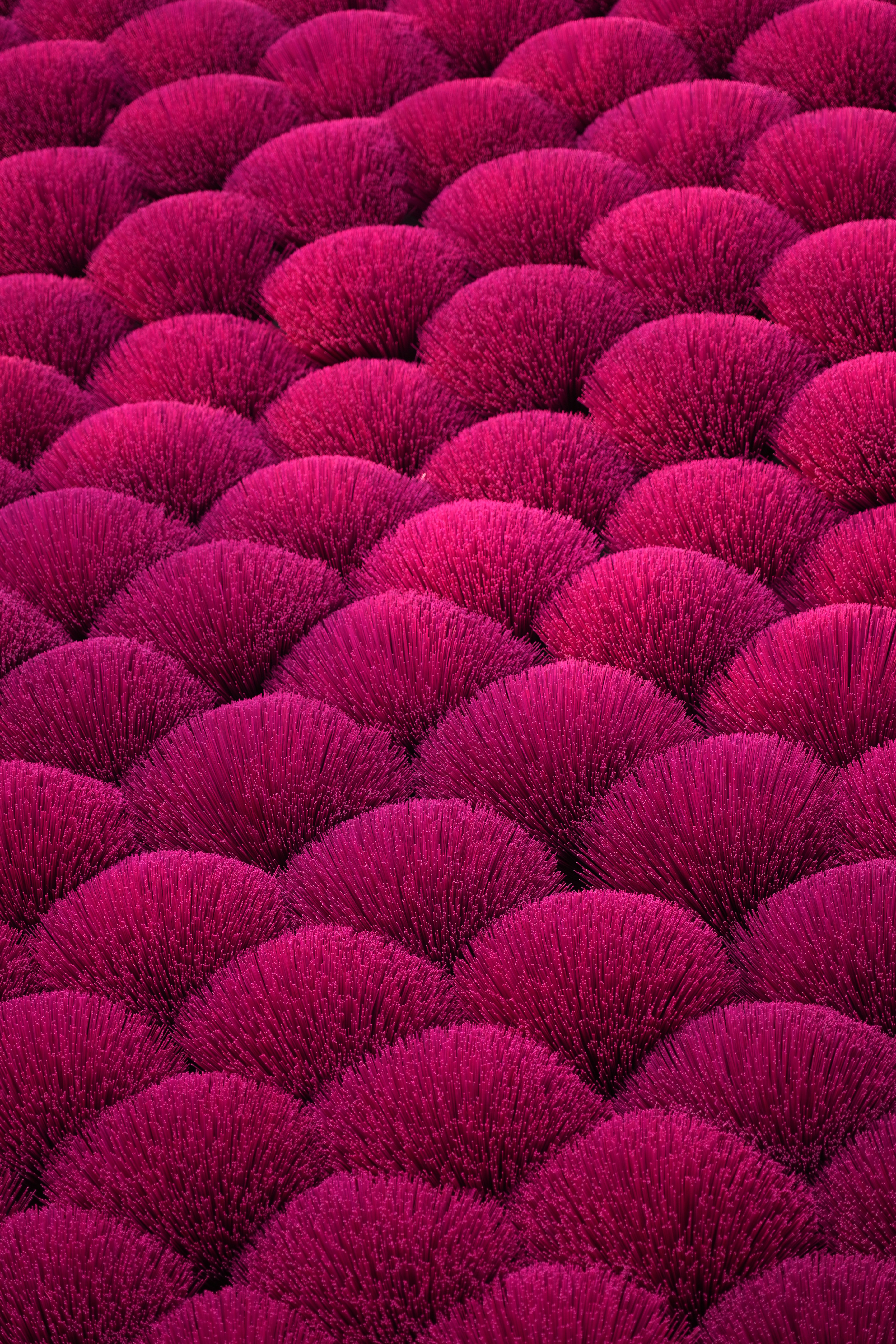 A close up of a bunch of red balls photo – Free Texture Image on Unsplash