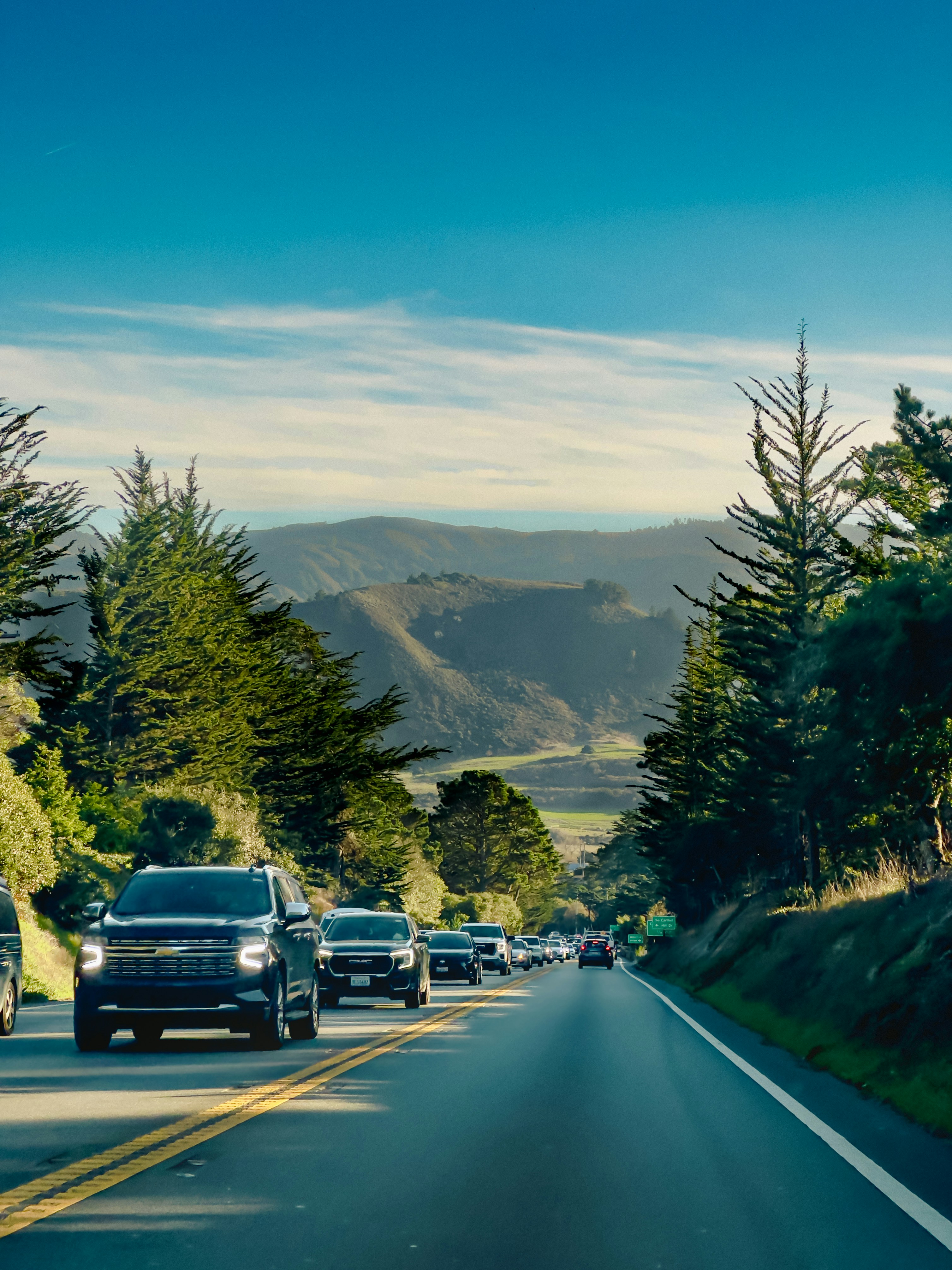 Horizon Lane: Cars Thread a Mountain Road Through Evergreen Walls