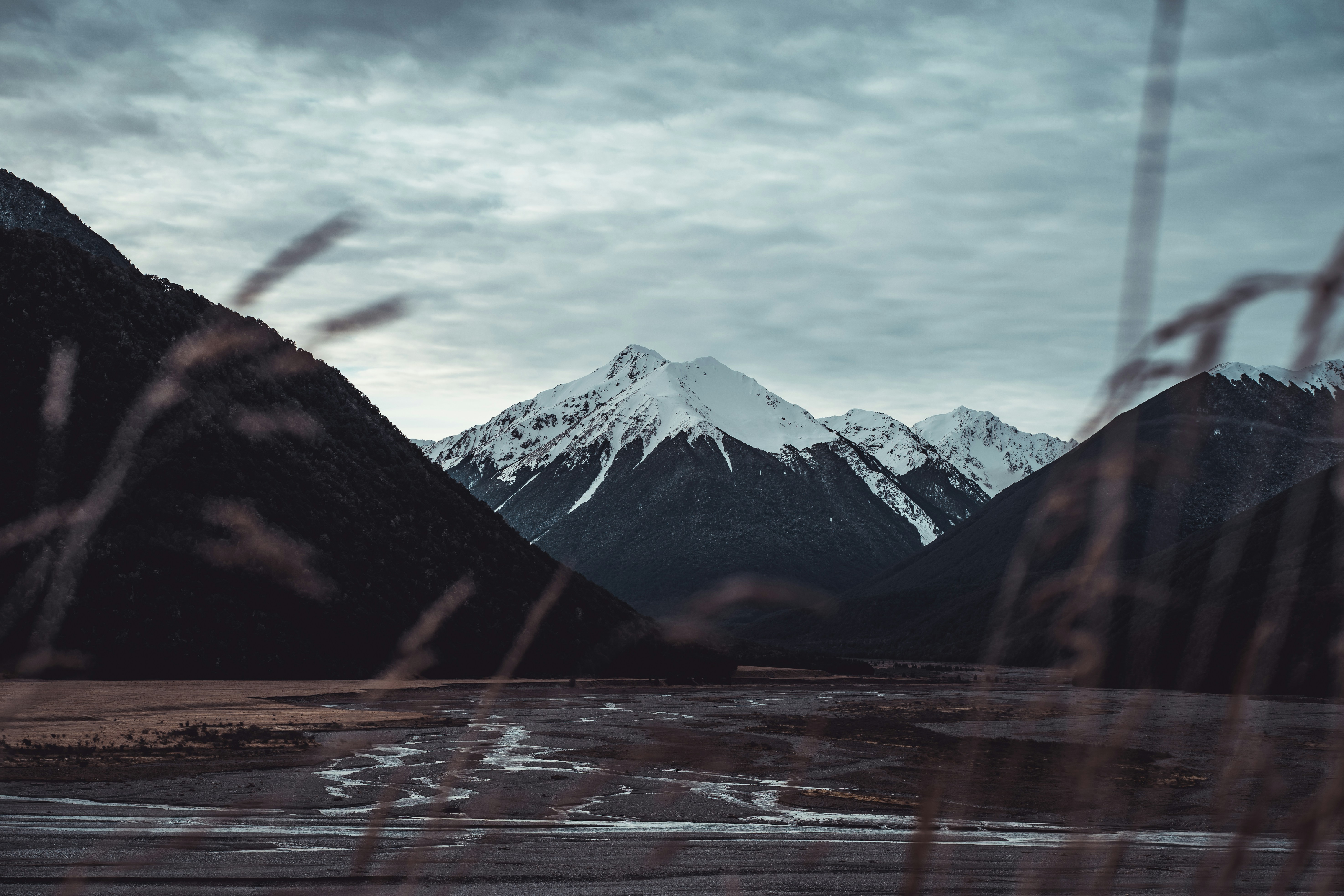 Snow-Crowned Sentinel Framed by Marsh Veil