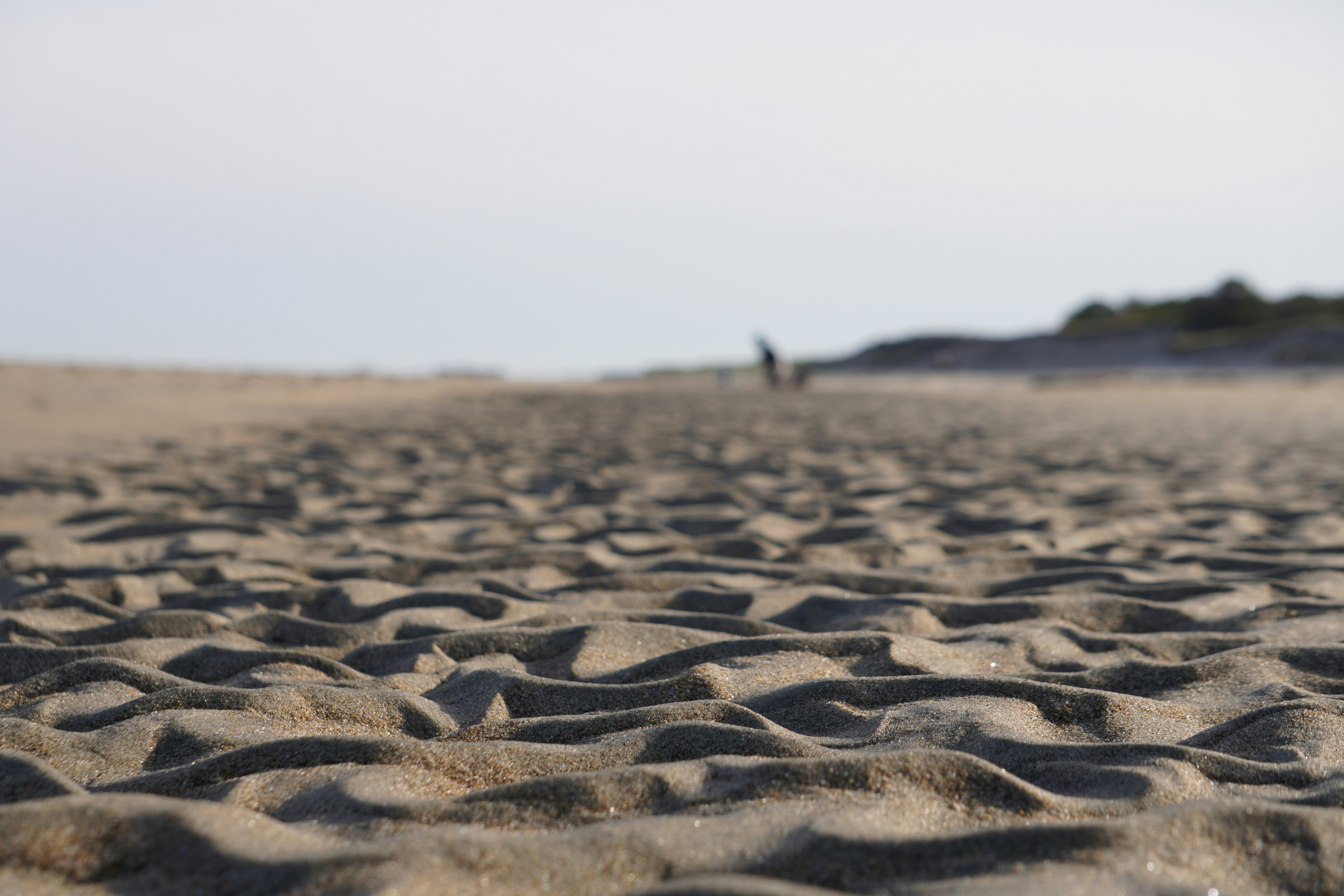 A sandy beach covered in lots of sand photo – Free Maine Image on Unsplash