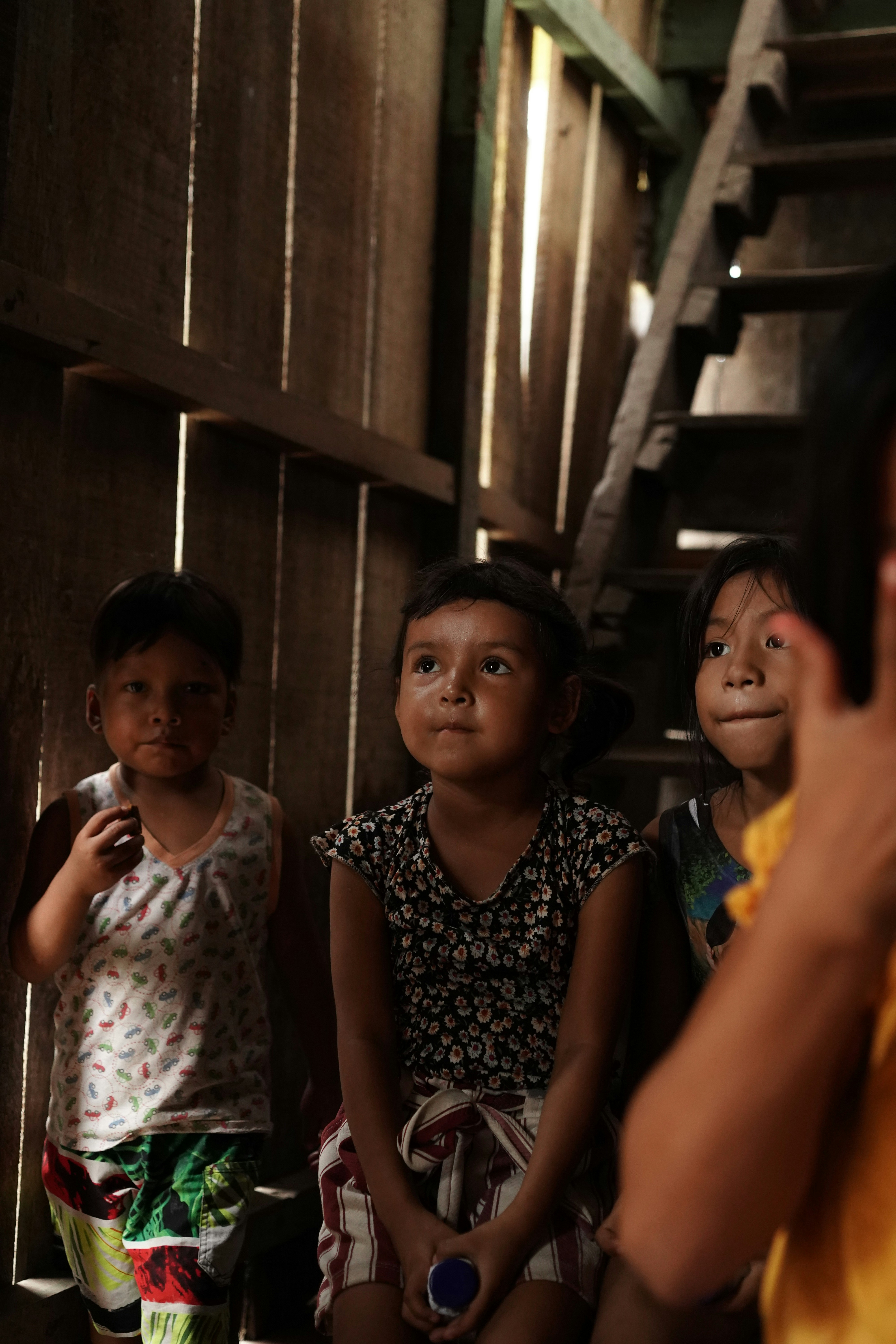 Whispers of Childhood in a Rustic RetreatFrank Rolando Romero