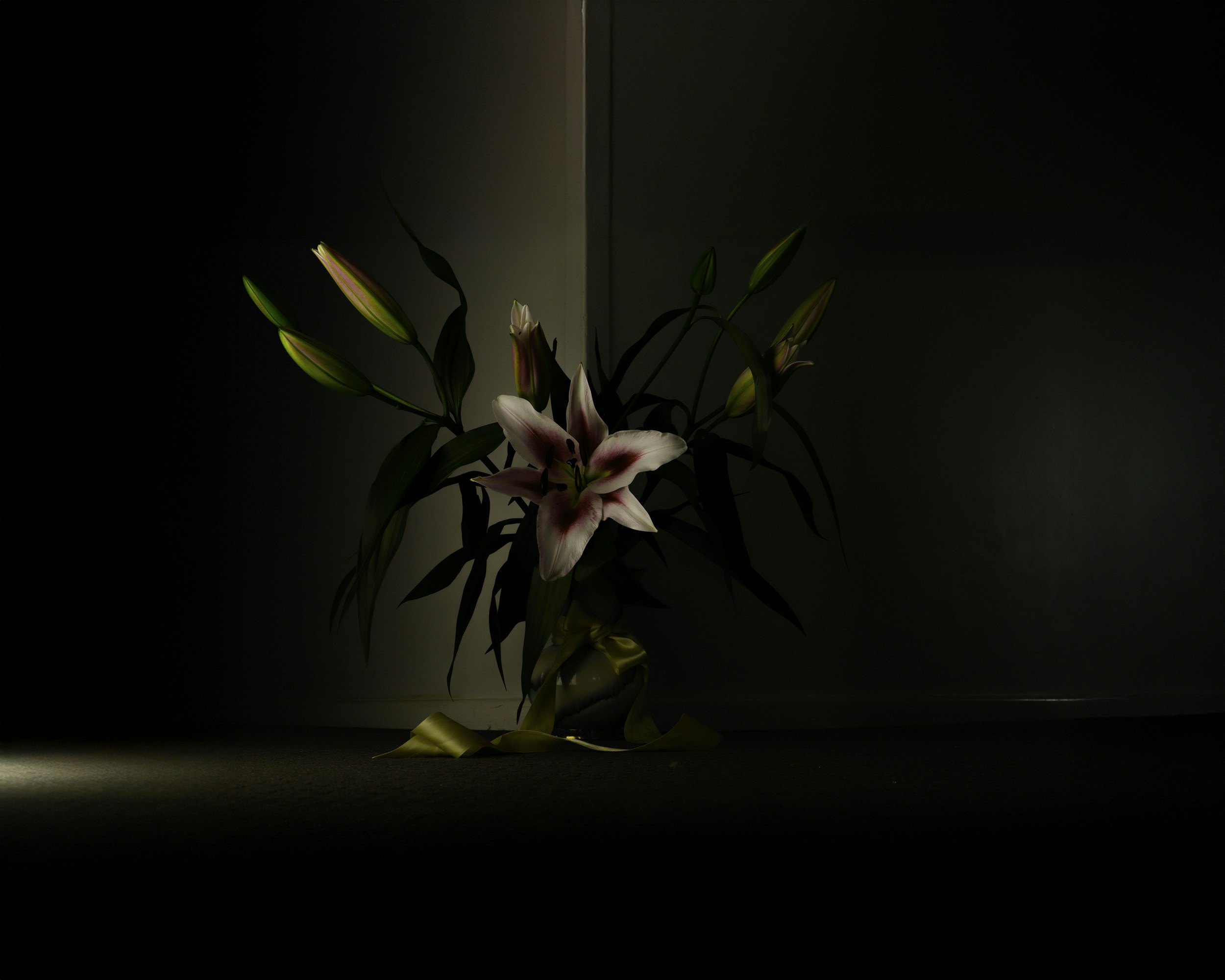 Whispers of Elegance: A Floral Embrace in Shadows