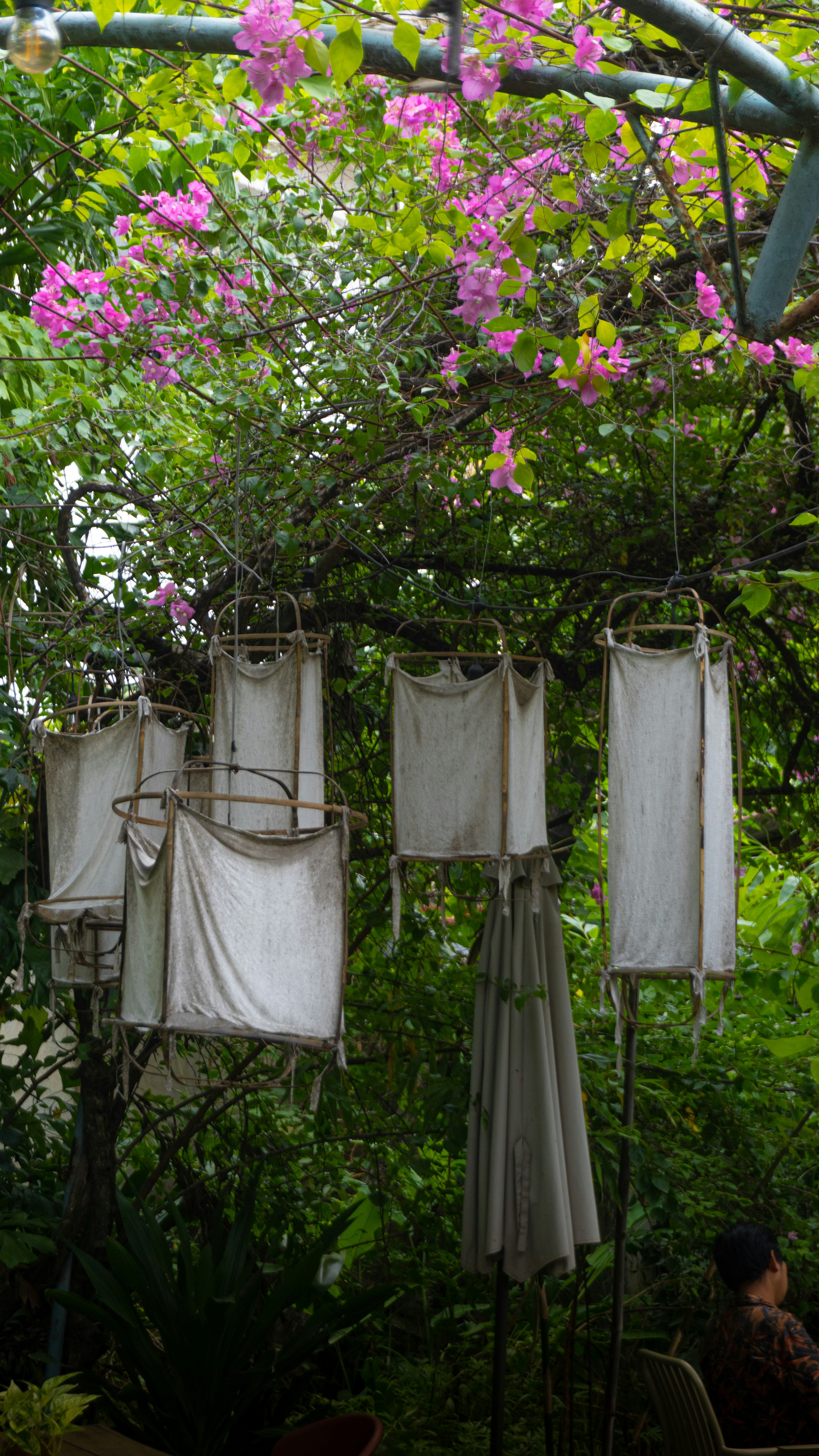 Photo by Sem Sophearithy with Sony Alpha 6400