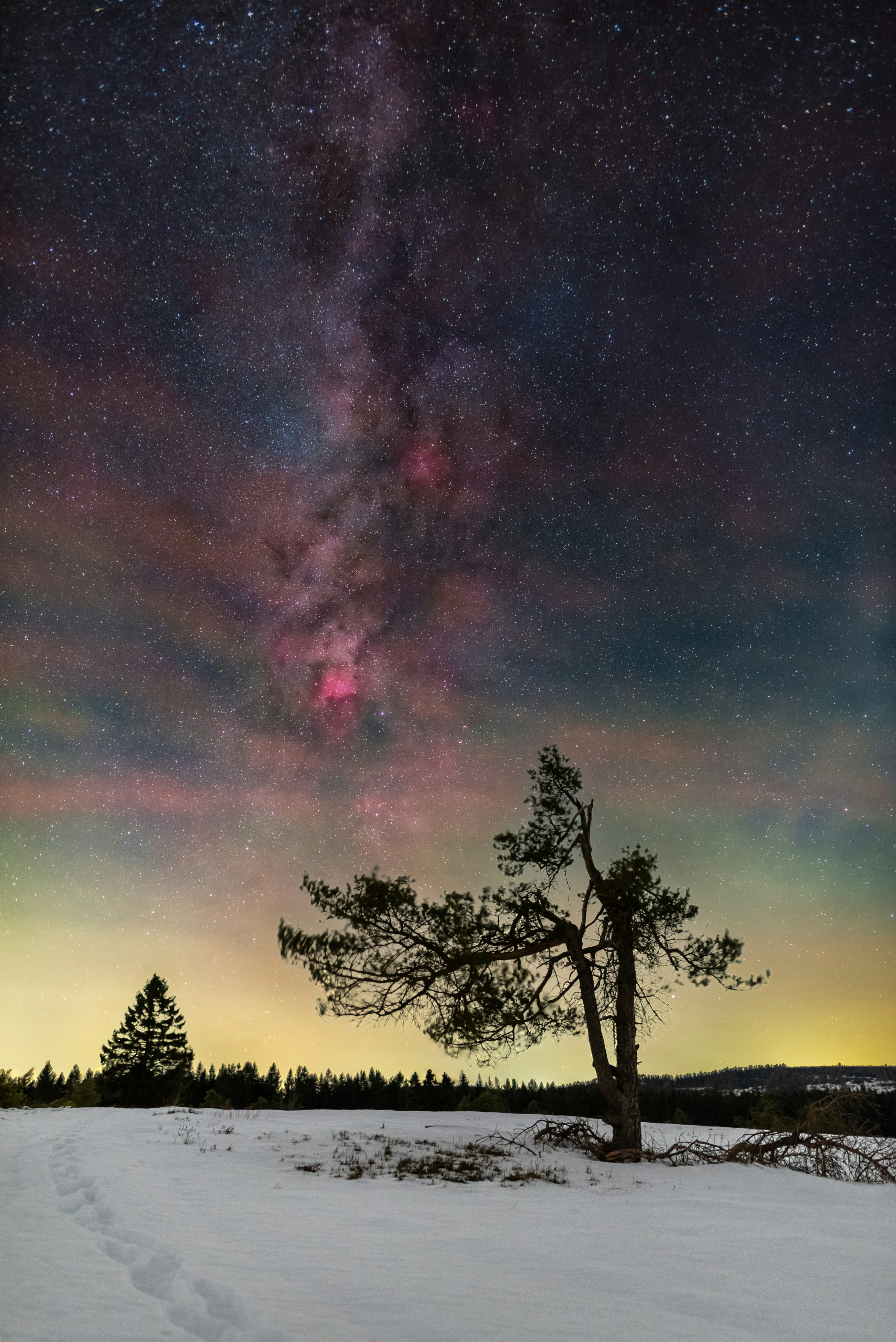 Milky Way Over a Wind-Swept Snowfield