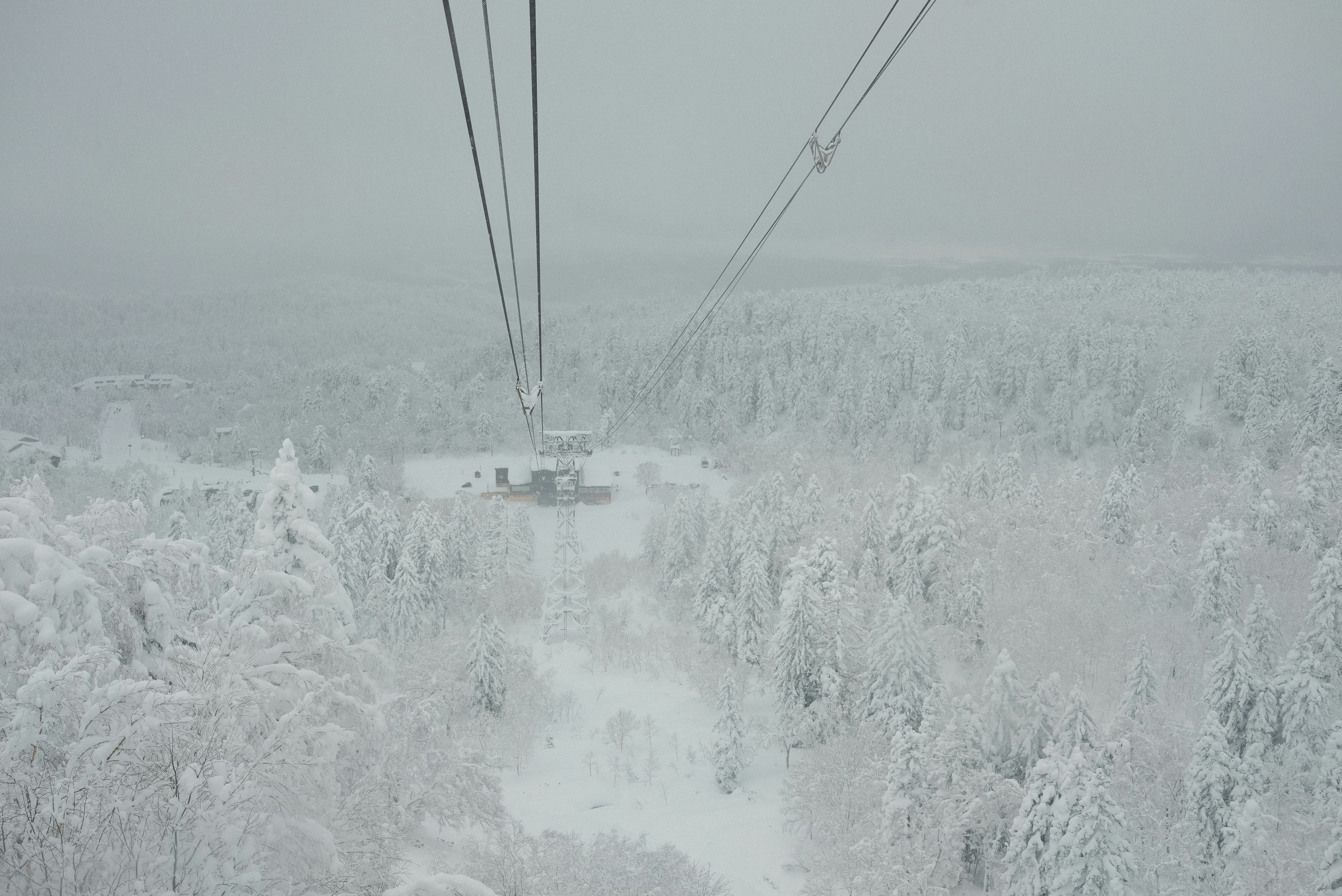 Snow-covered forest landscape with a cable car line stretching into the distance.