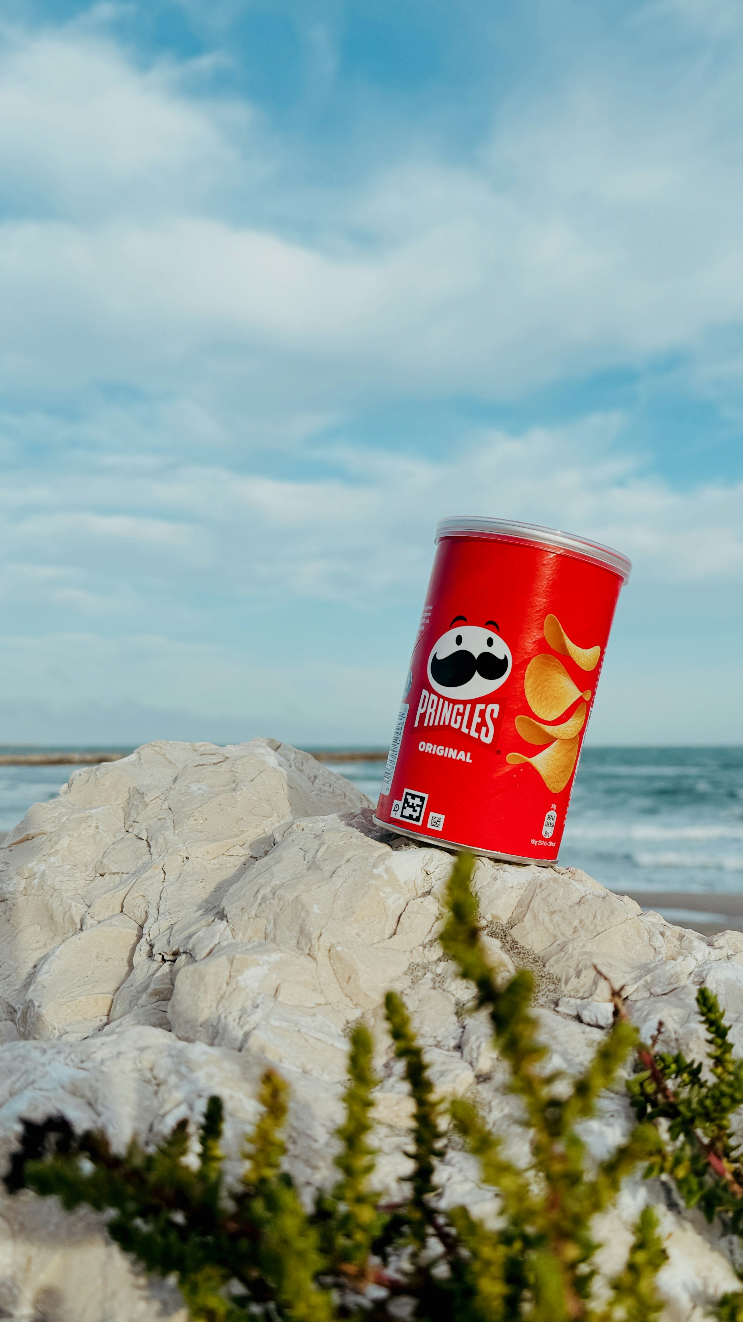 Pringles on a Seaside Cliff: A Leaning Snack Portrait