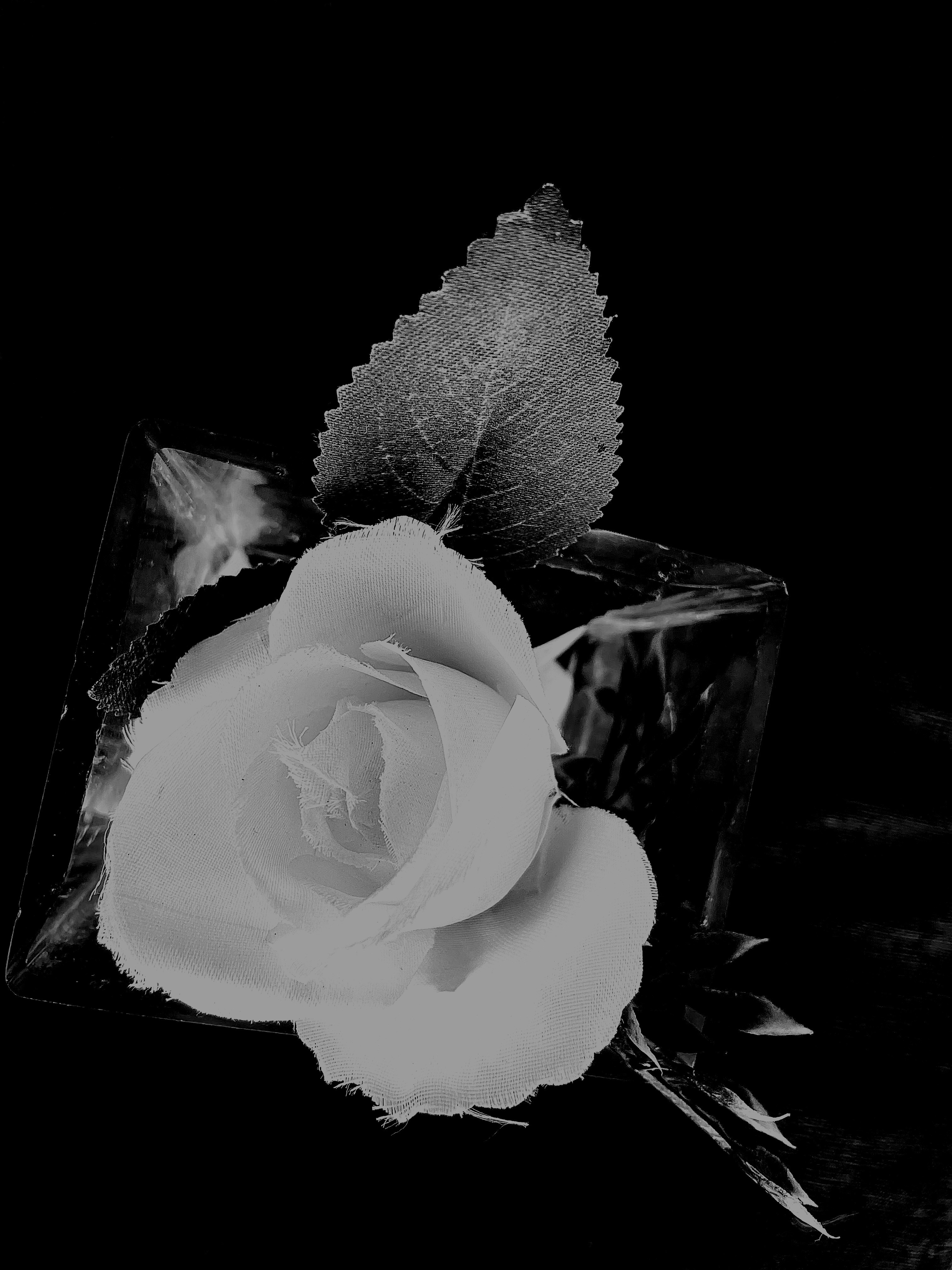 Dita Moh (@ditamoh) | Comunidad de fotos de Unsplash