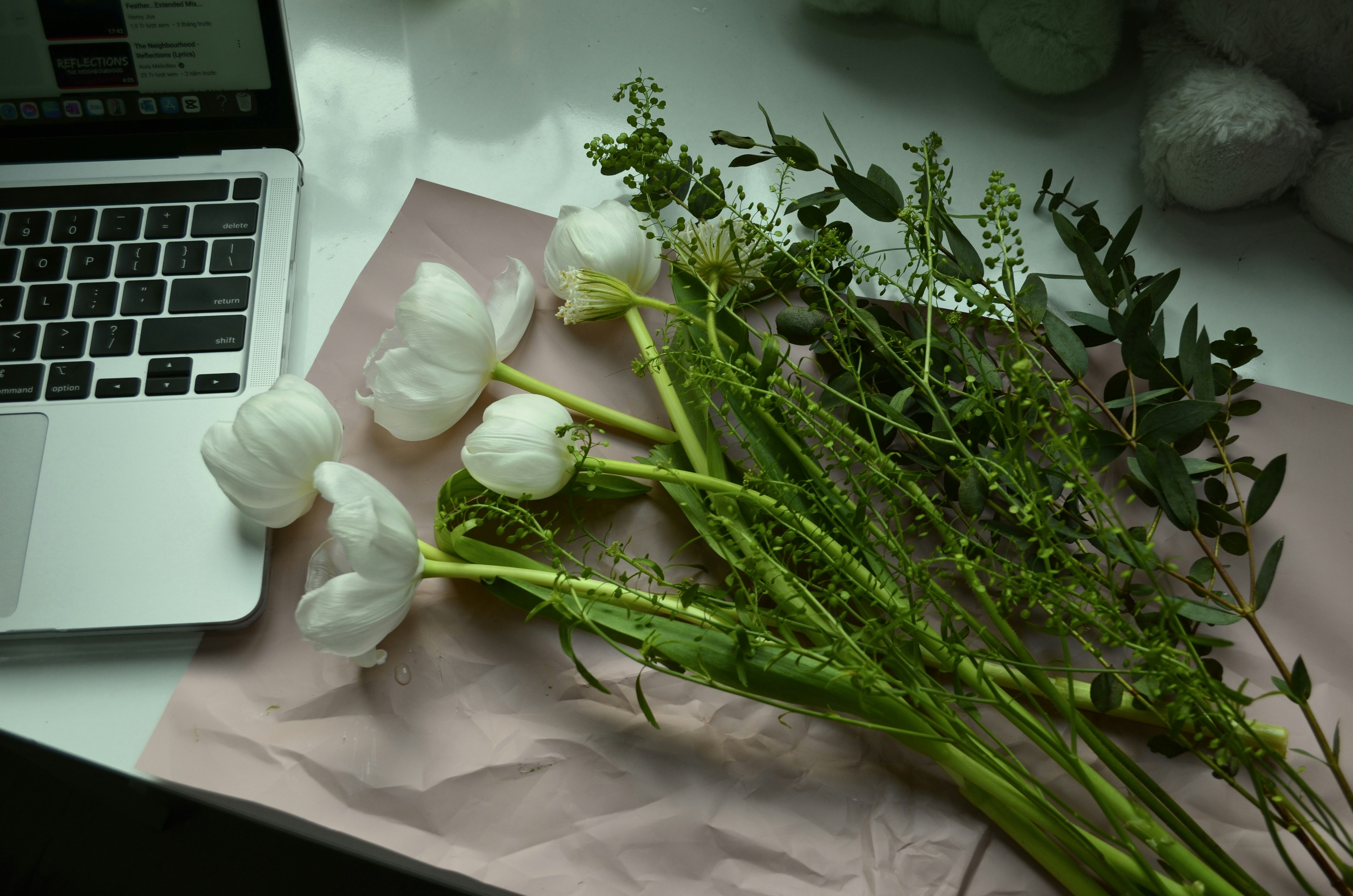 Emerging White Peonies and Greenery on Soft Pink Wrapping