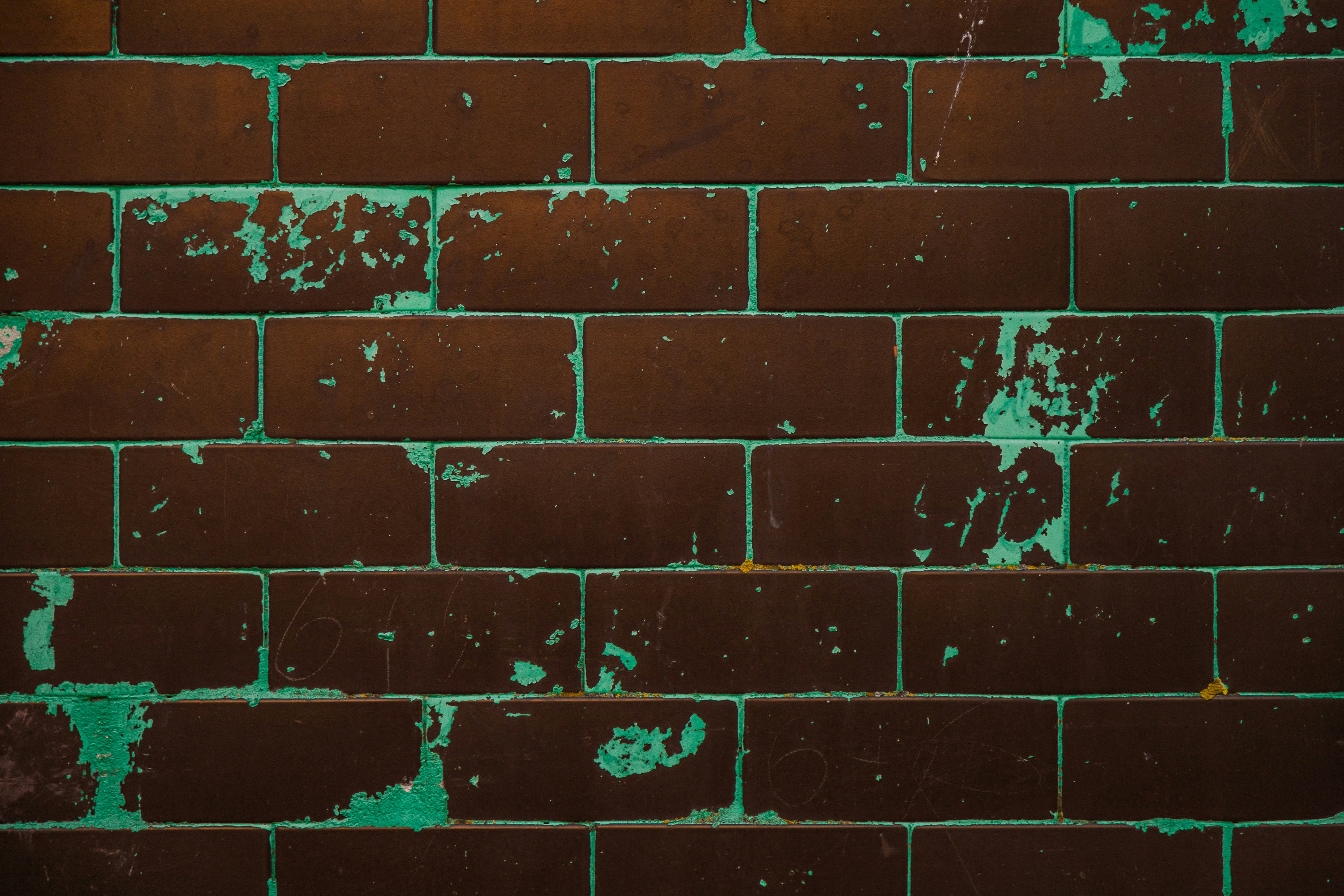 Aged brick wall with patches of peeling turquoise paint, capturing urban decay.
