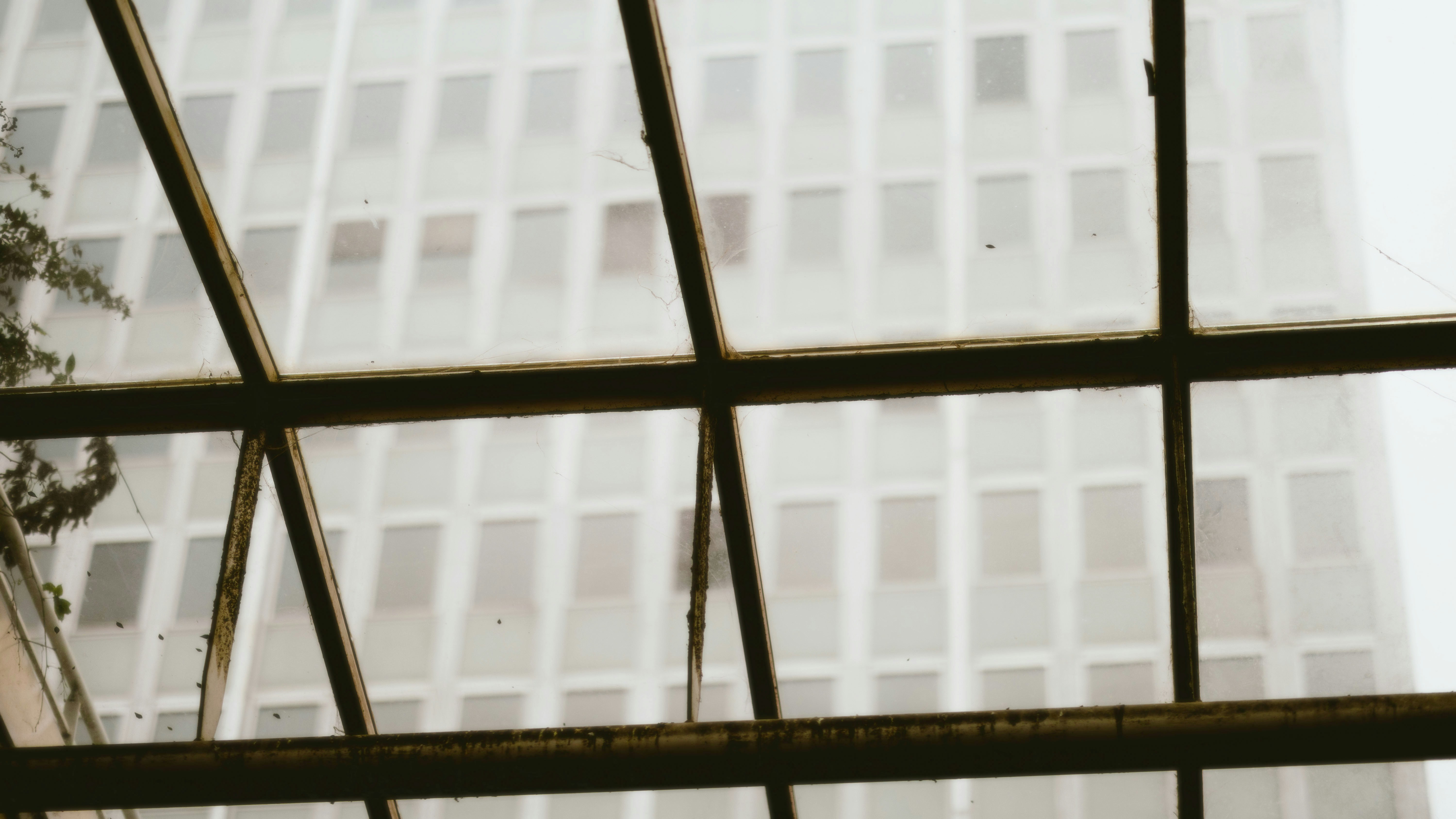 A view of a tall building through a window photo – Free Paris Image on ...