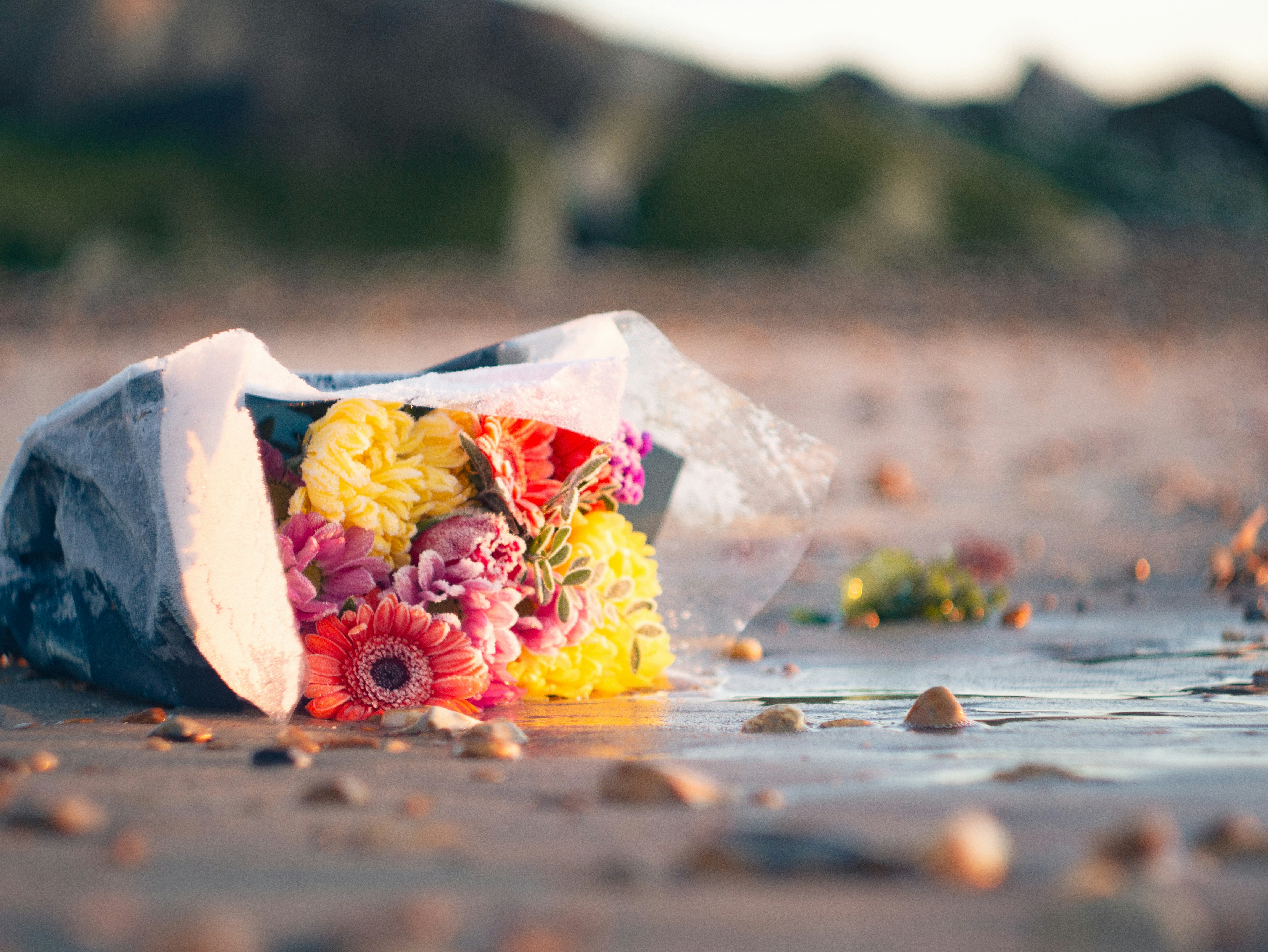 Bouquet on Wet Shore: Colors Refracted by Tide and Light