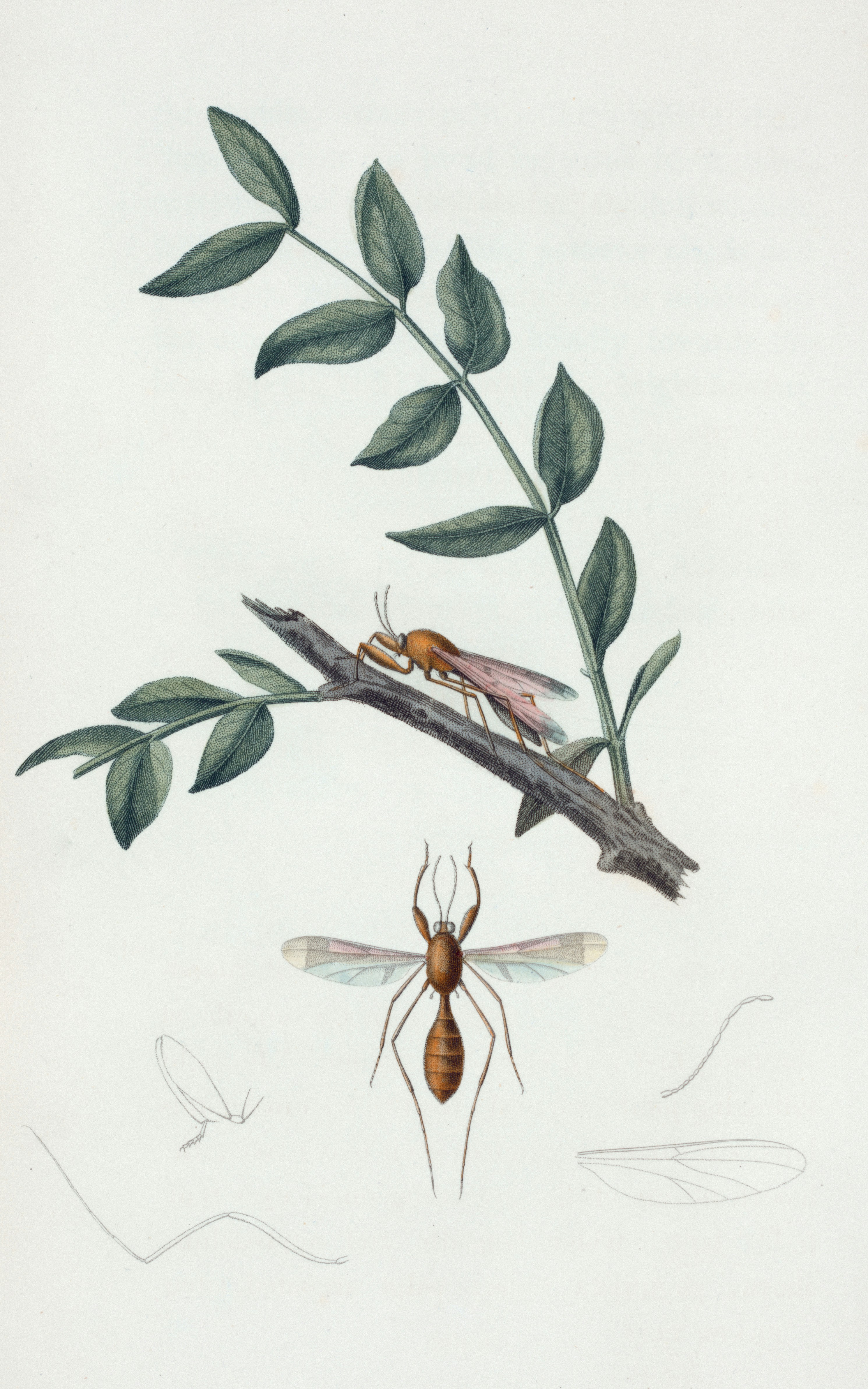 Cerberus Pictures | Download Free Images on Unsplash