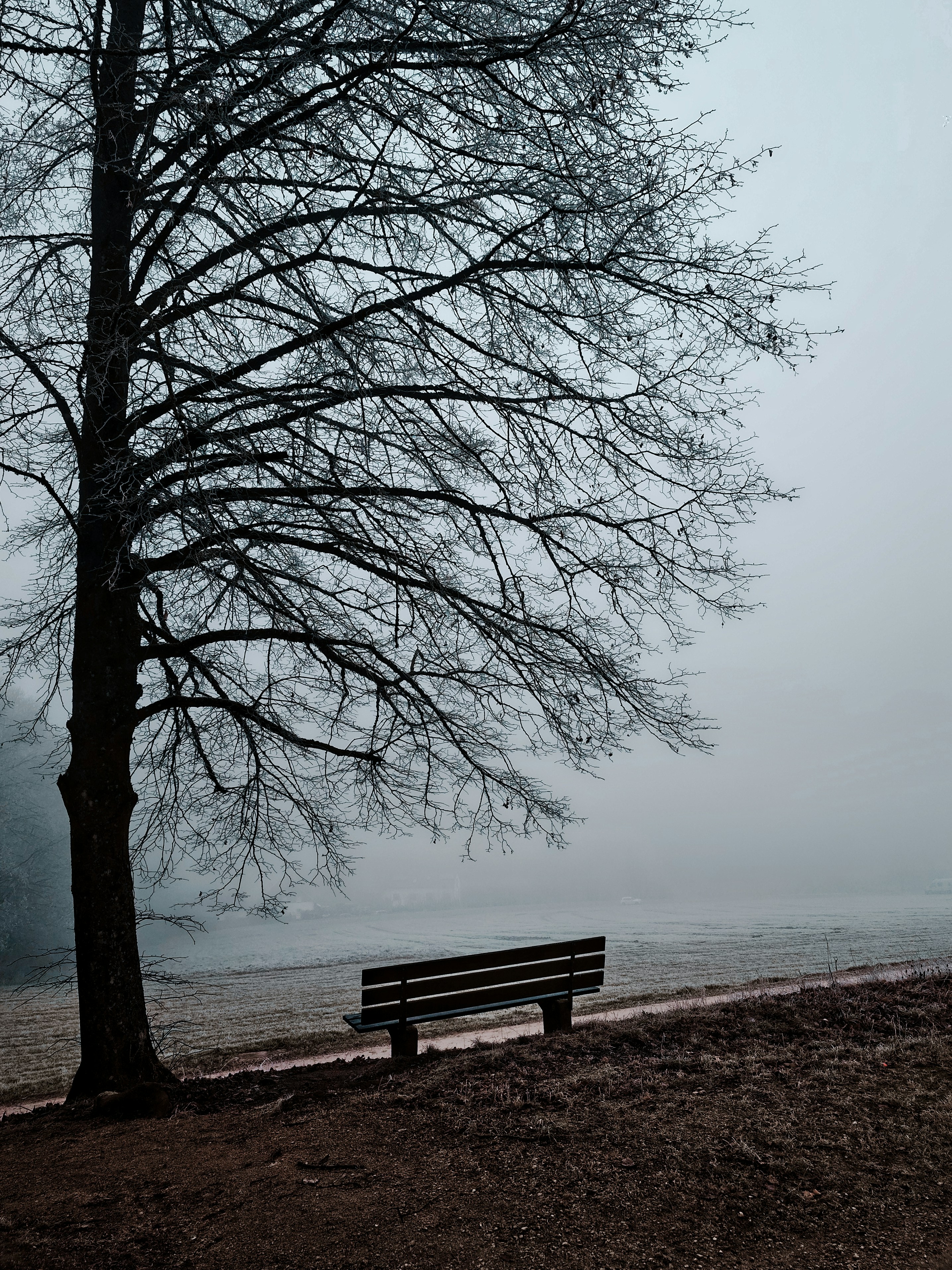 Sample photo from Sony Xperia 1 VI