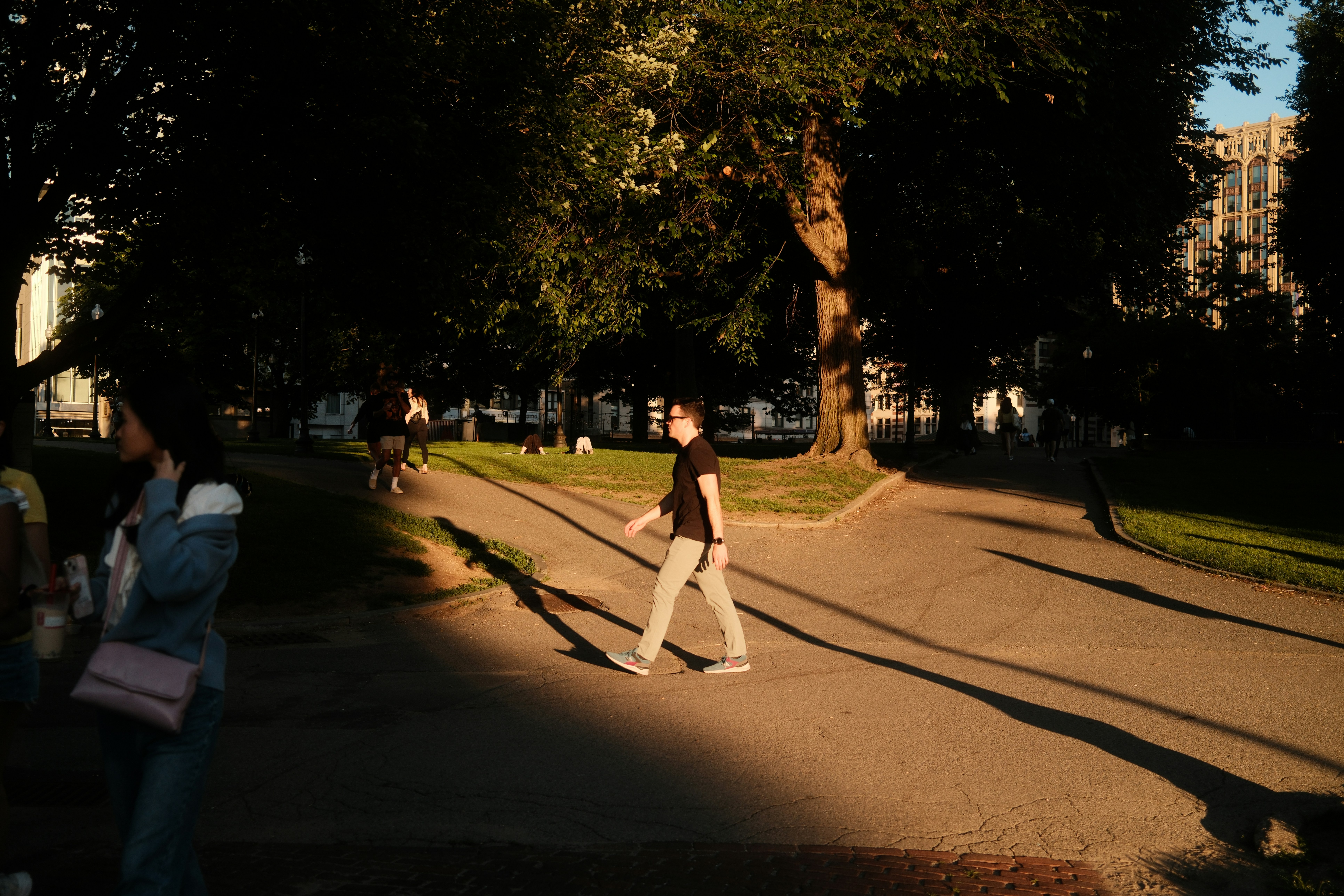 Golden Hour Stroll in Urban Oasis
