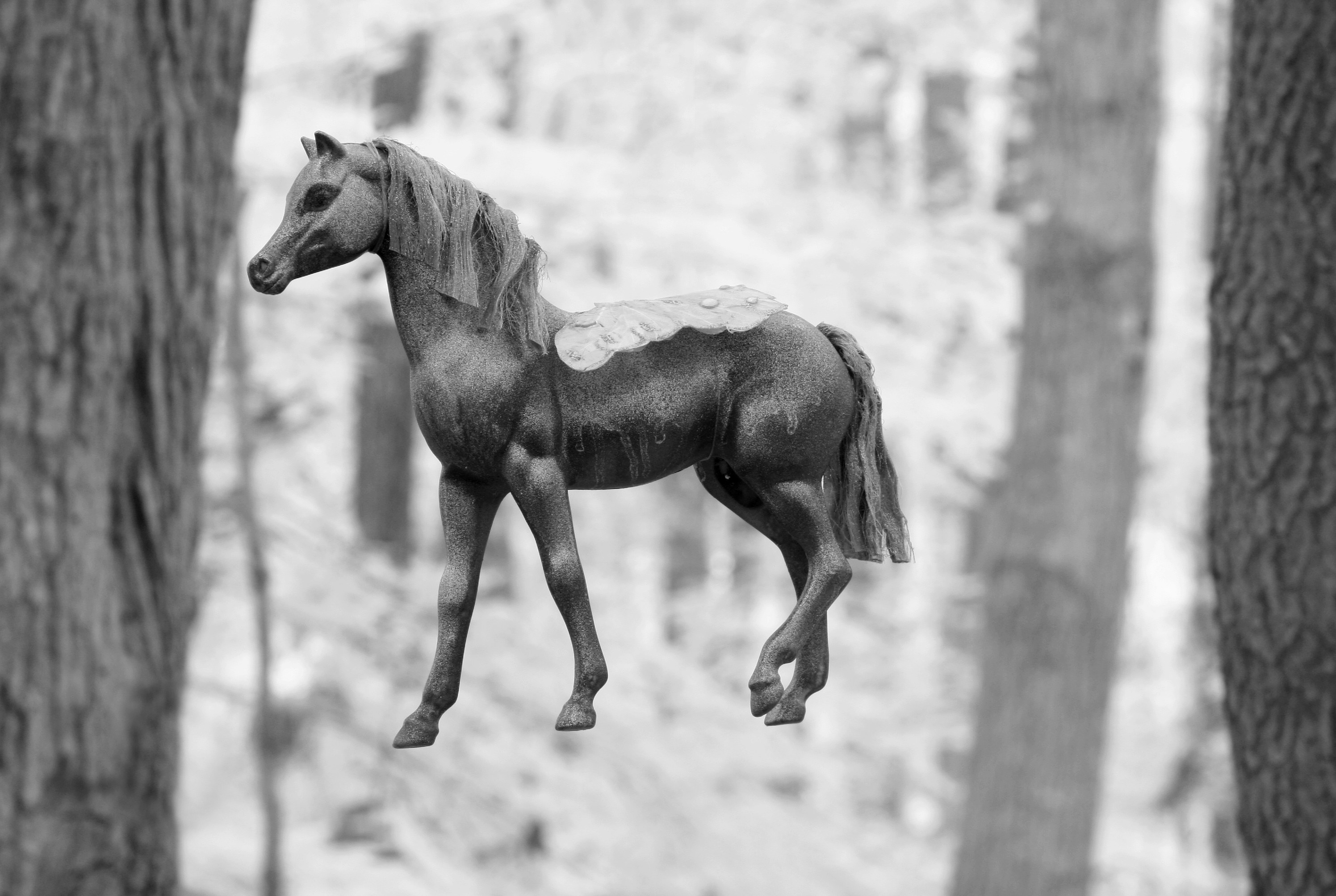 Forest Between Trunks: A Toy Stallion in Focus