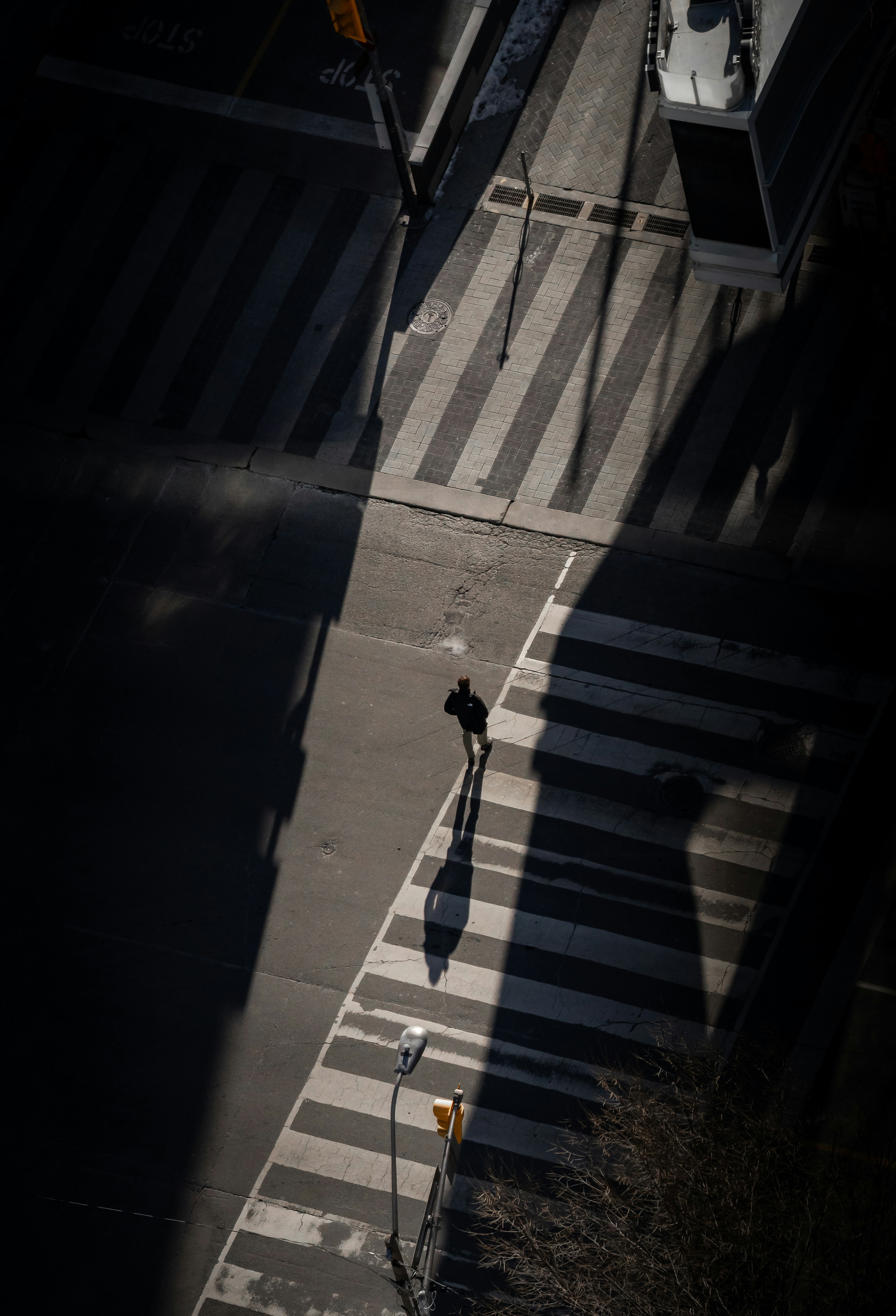 An overhead view of a street with a crosswalk photo – Free Human Image ...