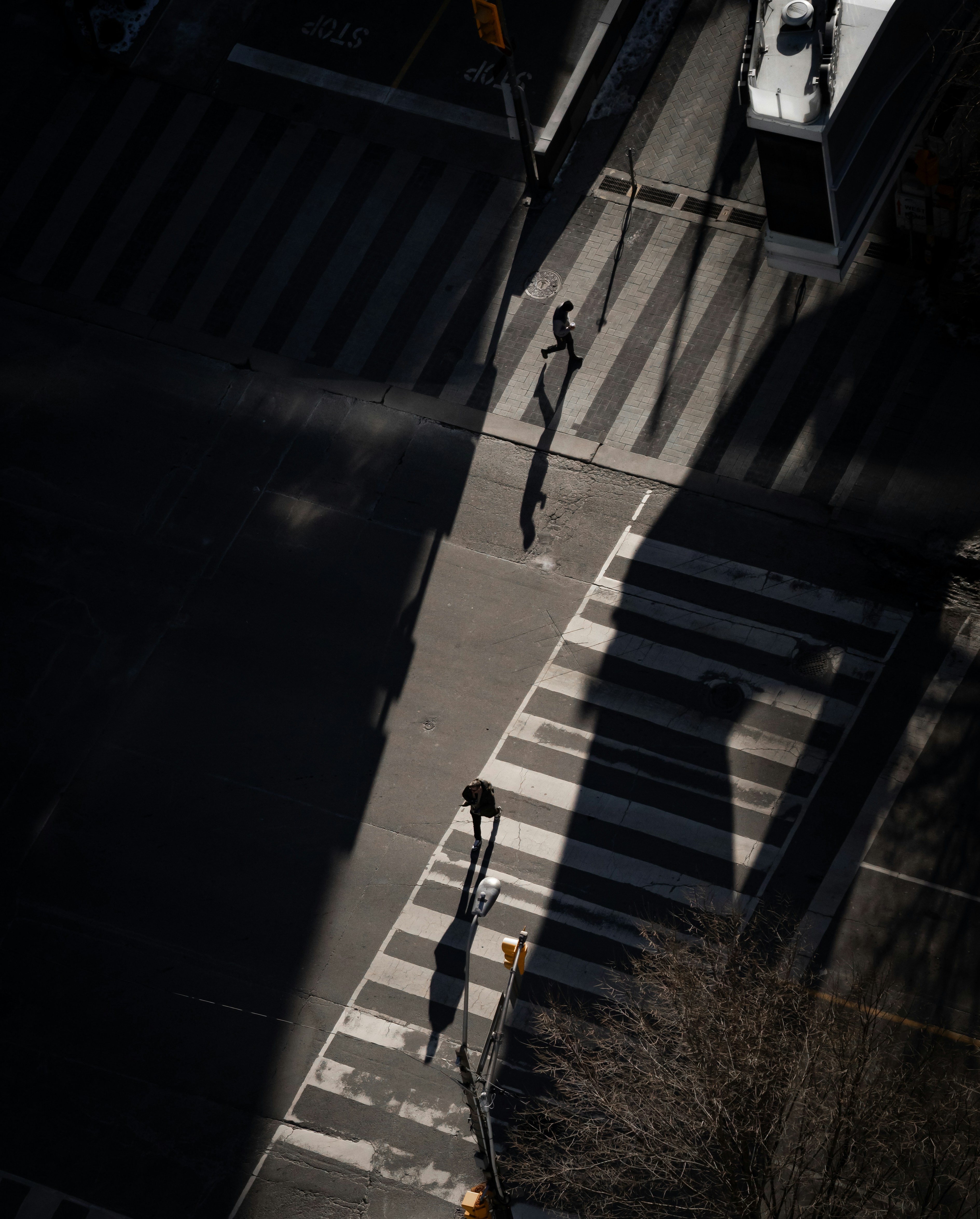 An aerial view of a crosswalk with people walking on it photo – Free ...